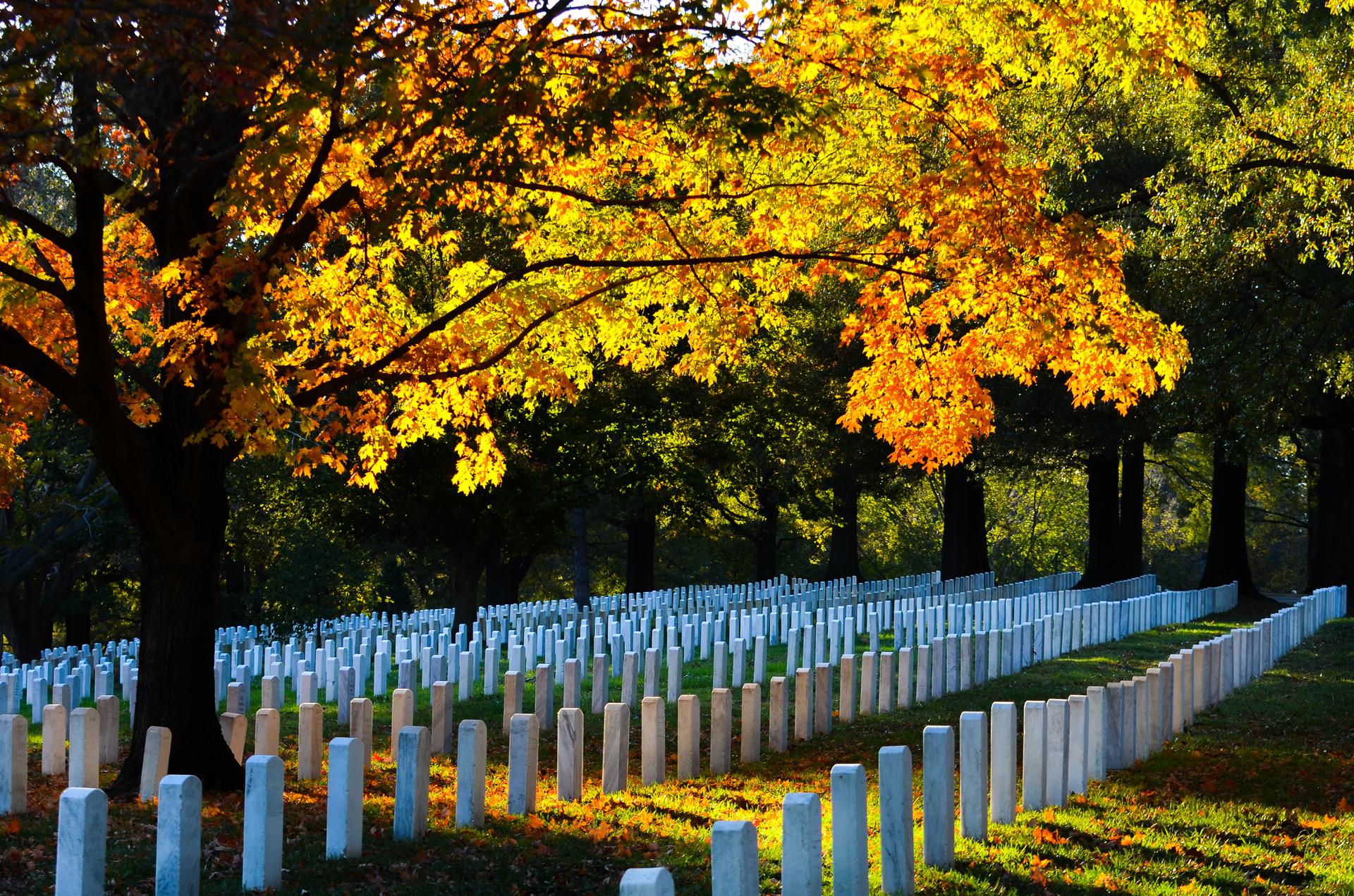 Cemetery Cremation Designs - Cemetery Monument Services - J. W. Ford ...