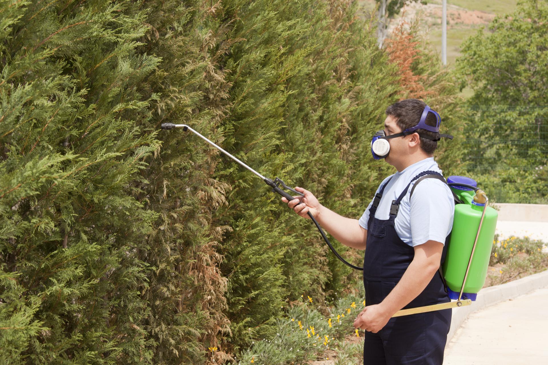 Orkin Pest Control | San Jose Orkin Pest Control | San Jose