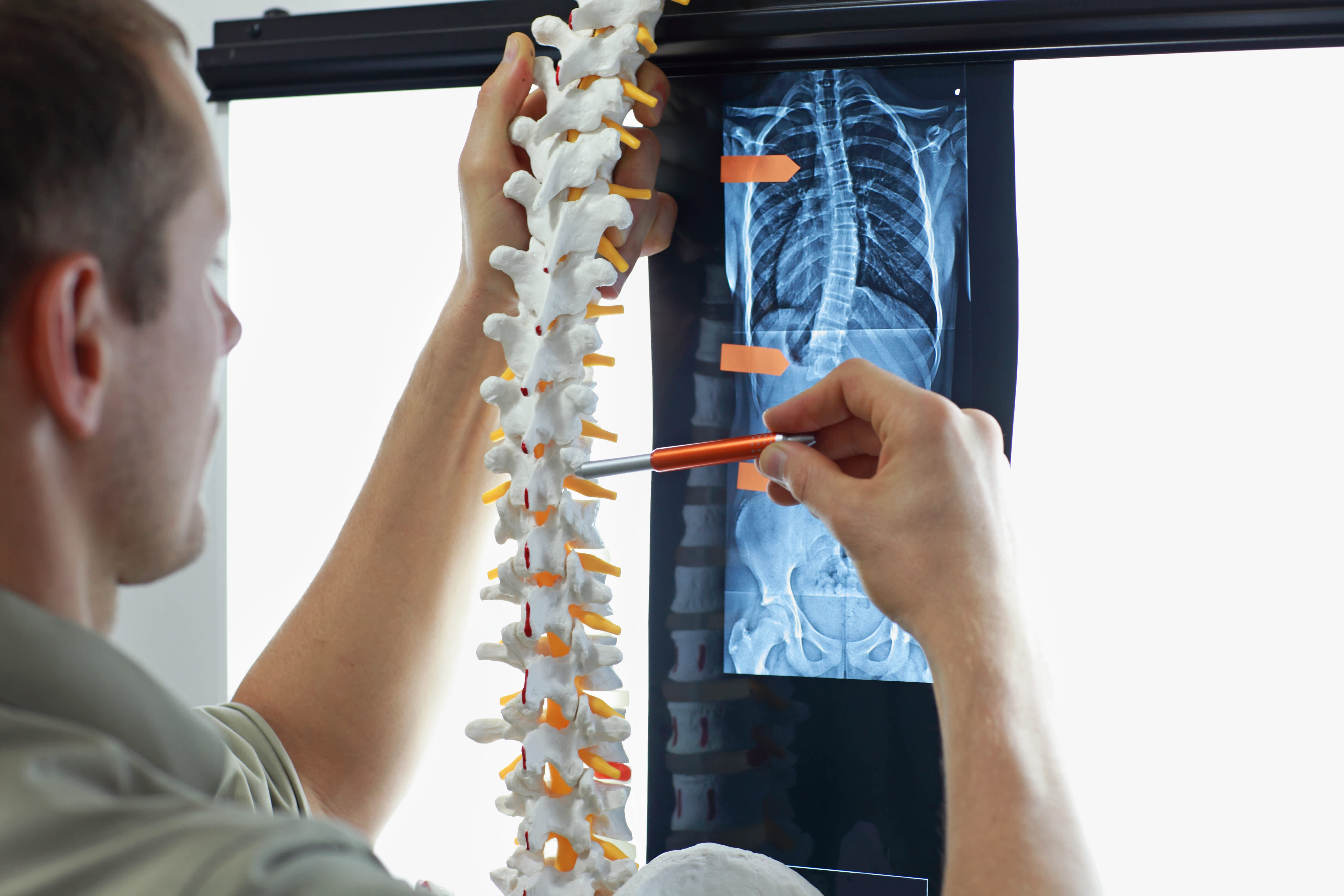Anatomy & Physiology Level 4 - Beauty & Aesthetics Training - Beauty ... Anatomy & Physiology Level 4 - Beauty & Aesthetics Training - Beauty ...