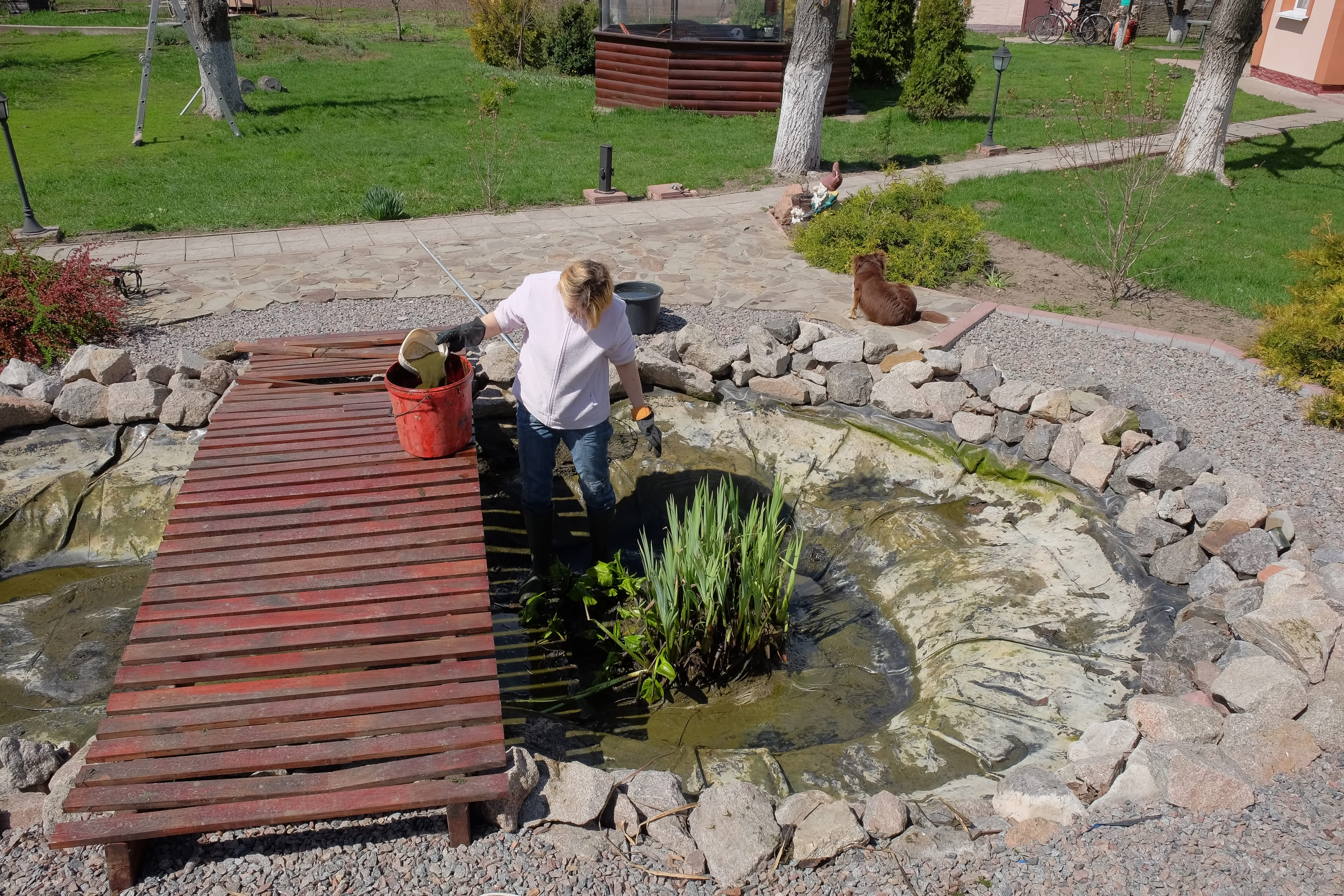 Green Mess - CLEANING WATER FROM - MGM Global Solutions Ltd - Home ...