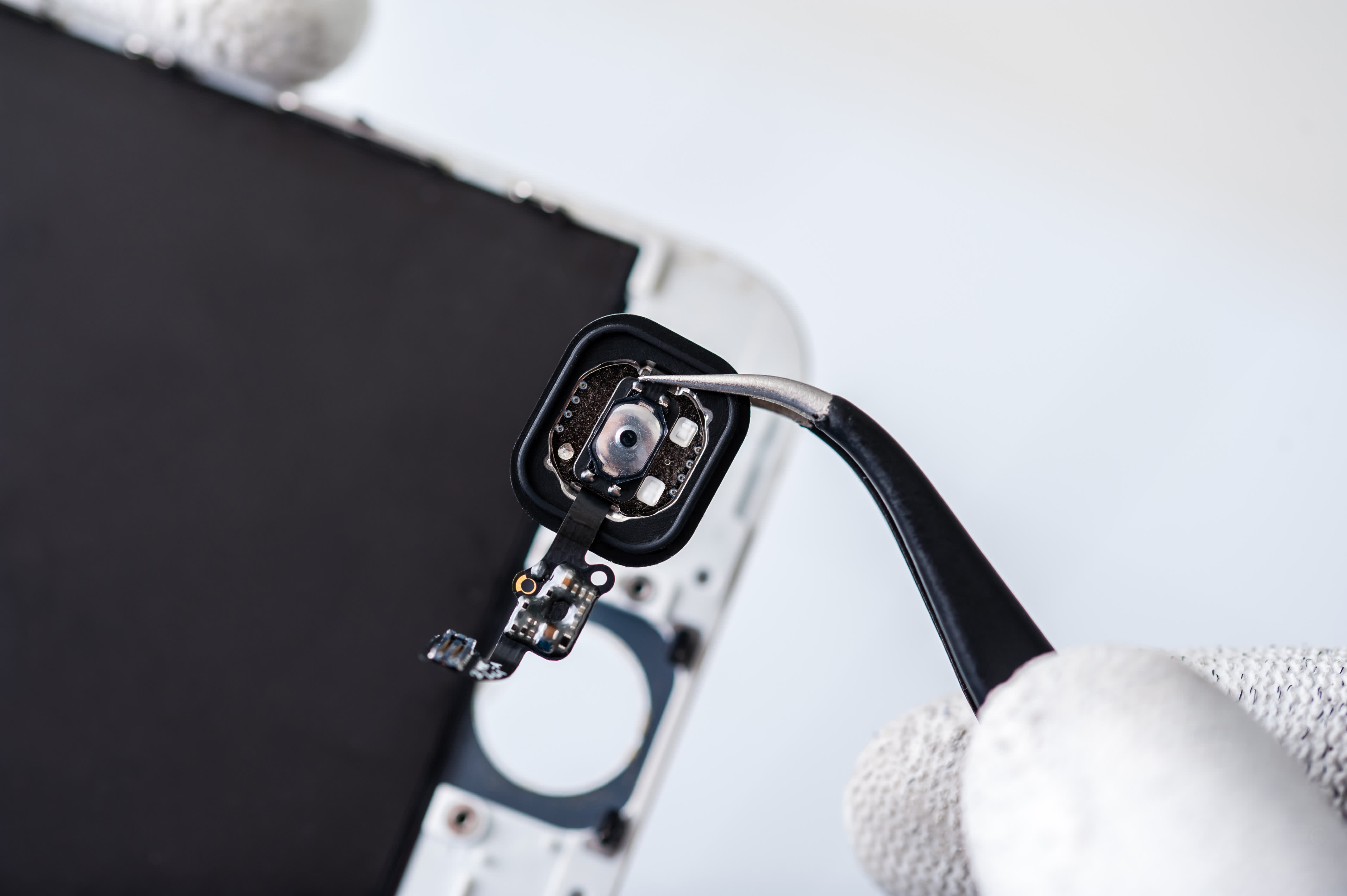 Speaker - Mobile Repairing Services - Motorola Service Center - Phone ...