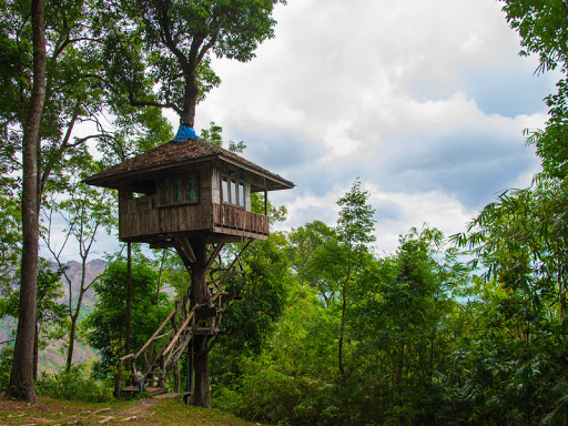 Treehouse - Camping Services - Norwell View Farm Glamping | Camping | Bath