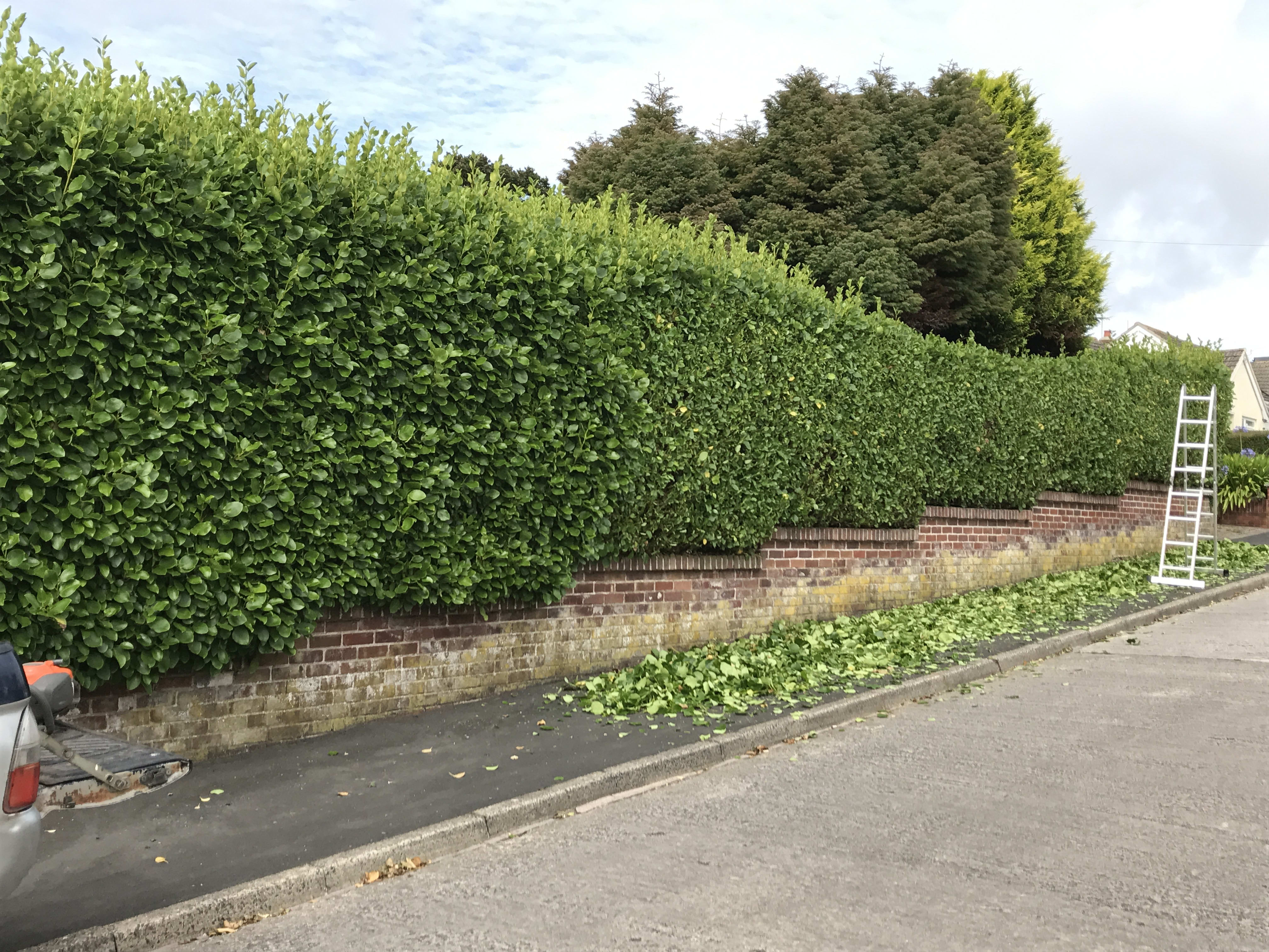 Over The Hedge Landscaping & Garden Services - Brixham
