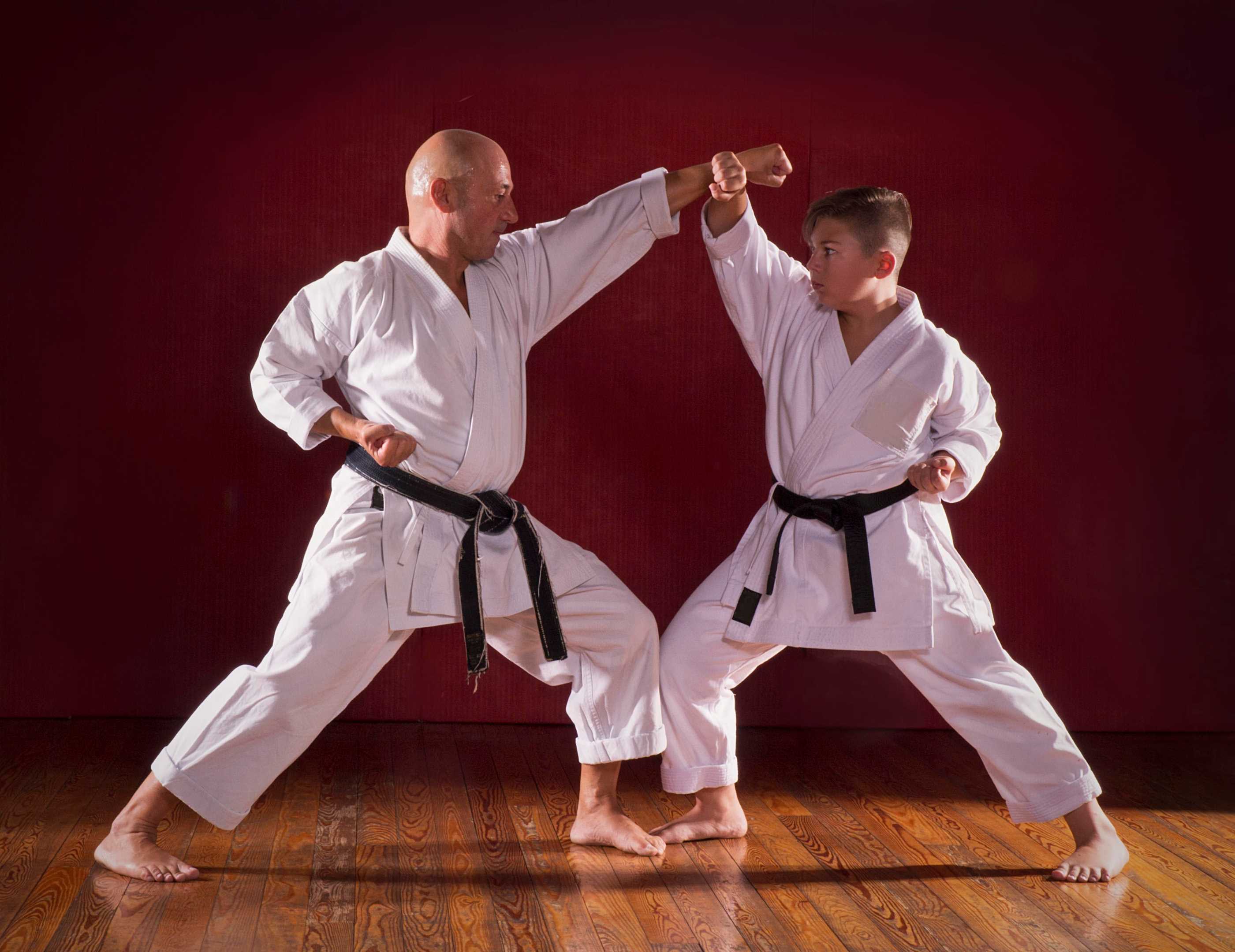 Learn from the best of the best - Martial Arts Club | Radstock Martial ...