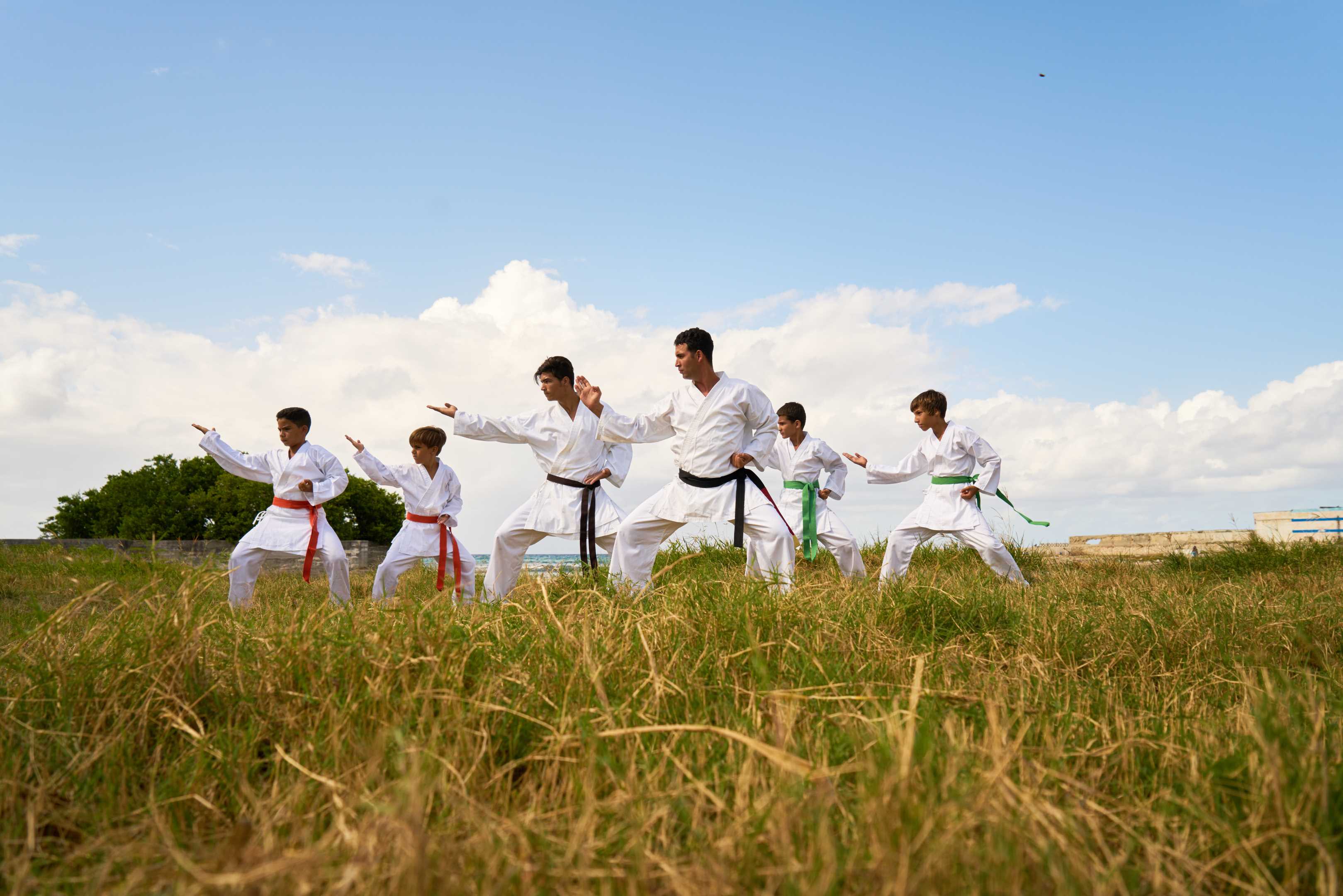 Best Martial Arts Lessons in Houston - Ima Houston Karate Martial Arts ...