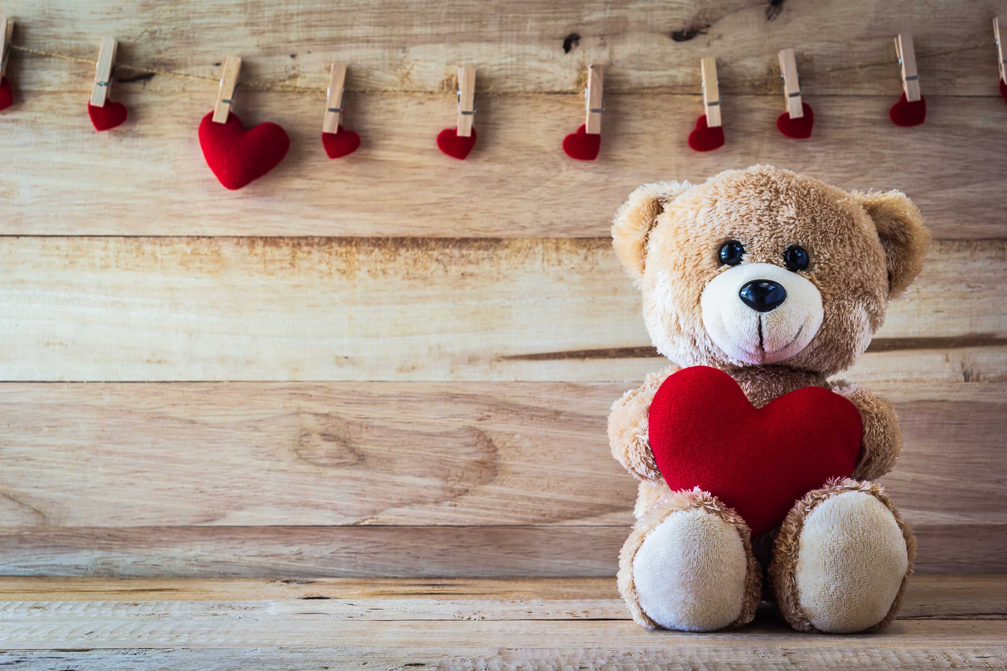 Cuddly Buddies | Mobile Plushy Party in Los Angeles