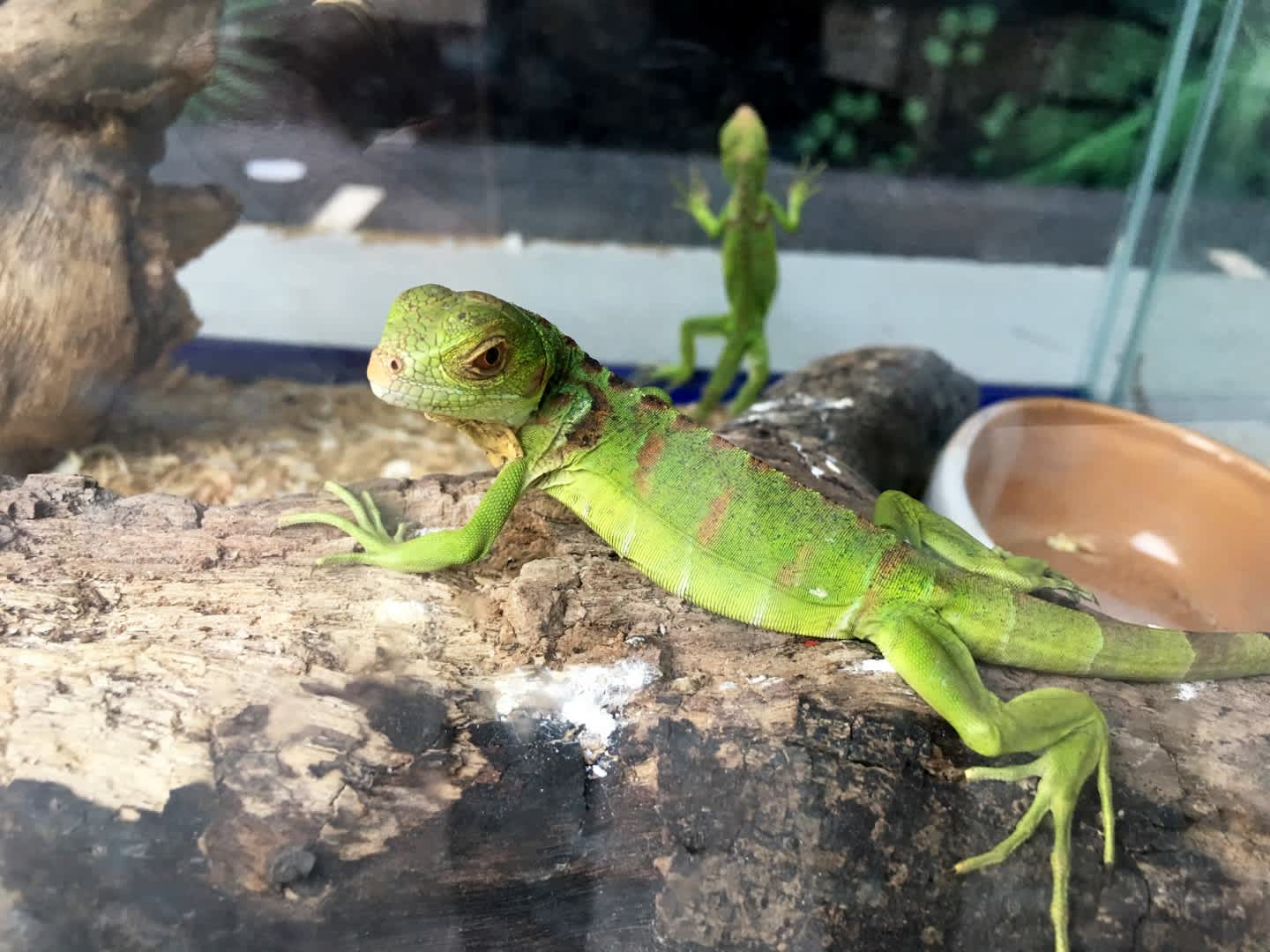 Pet Bazaar | Casselberry Pet Store