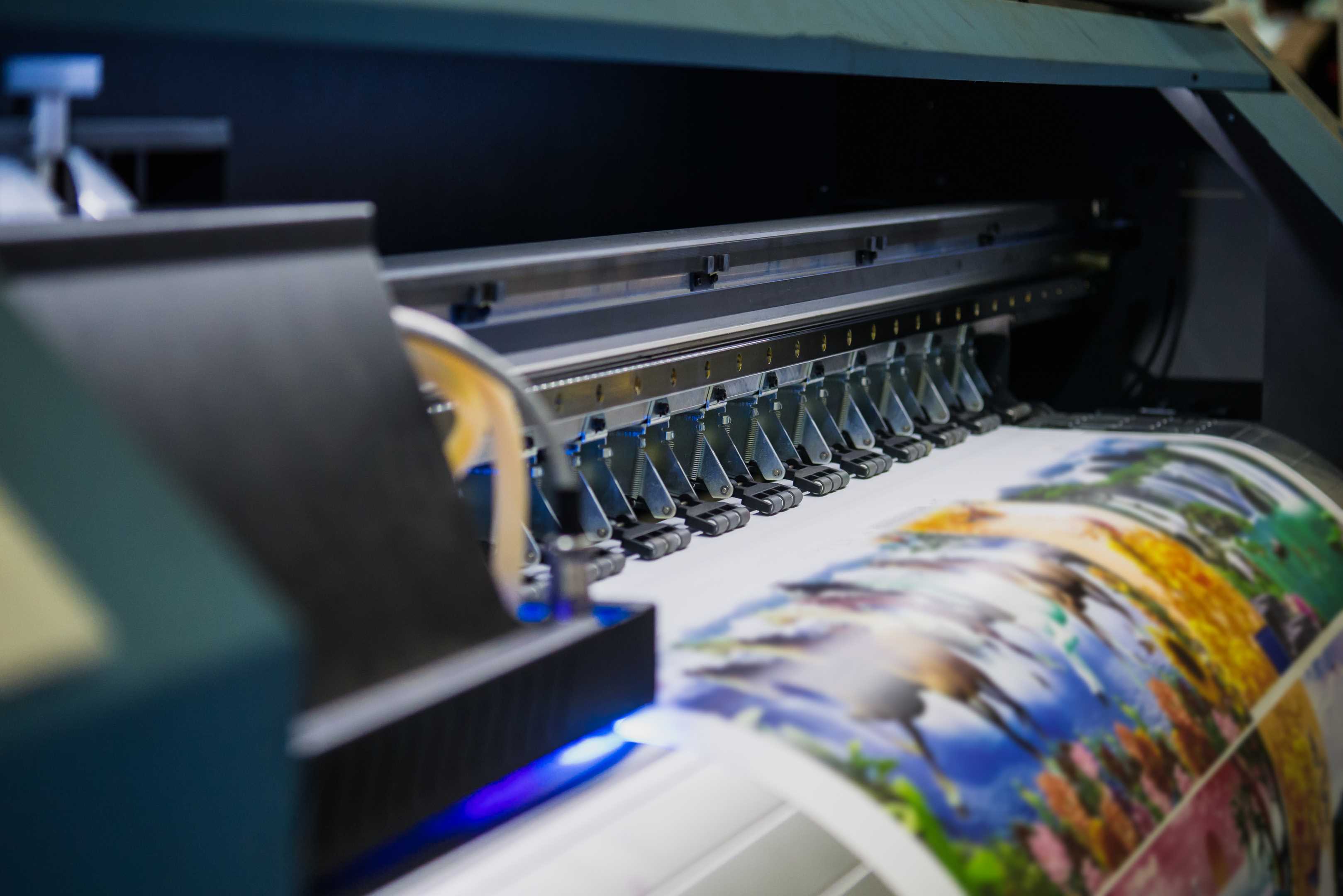 Sign Me Up | Printing and Graphics | San Marcos