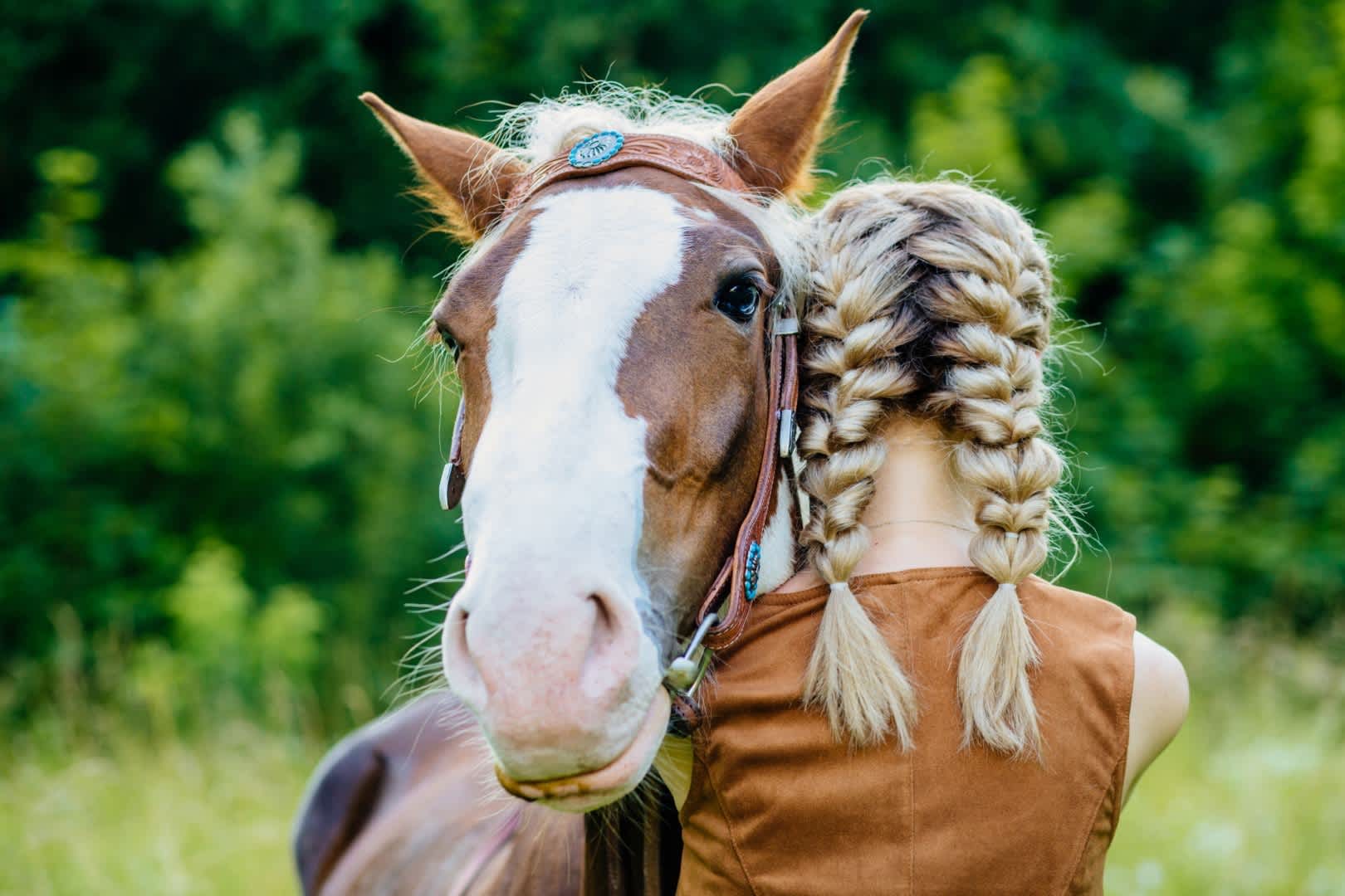Breed Analysis DNA Testing - Other Equine DNA Testing - Animal ...