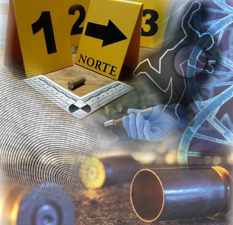 Balística - Enseñanza - Indisium México - Cursos de formación | Ciudad ...