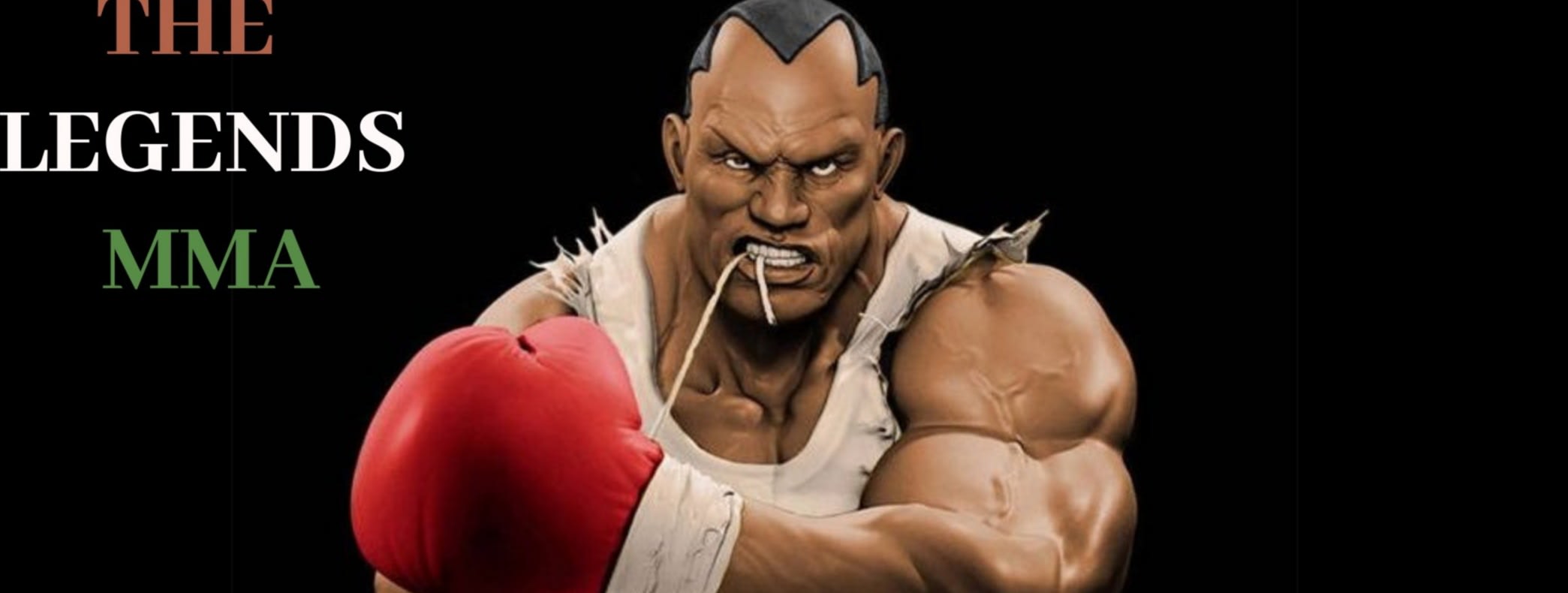 The Legends MMA | Sports Club in Thane