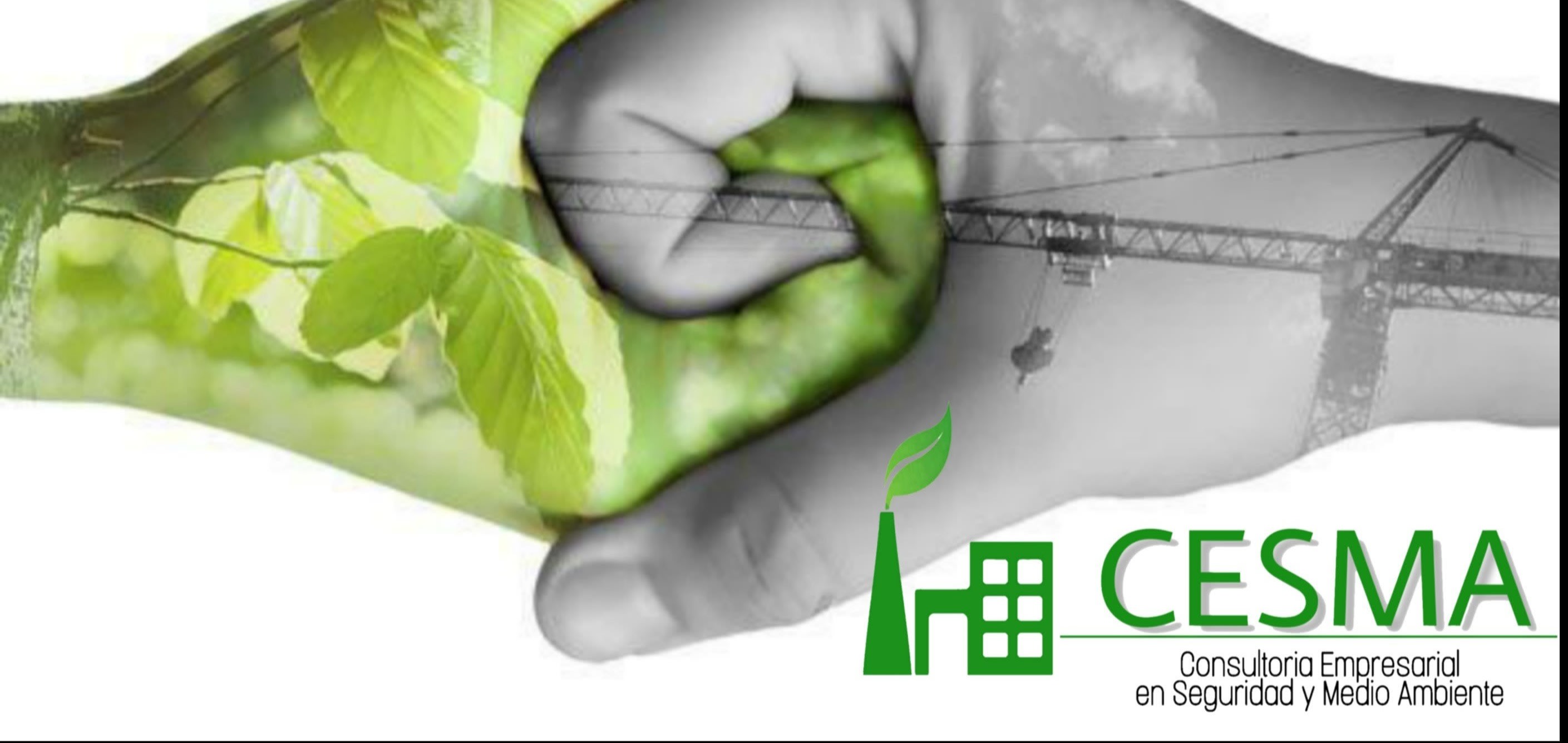 Cesma | Asesor empresarial en León