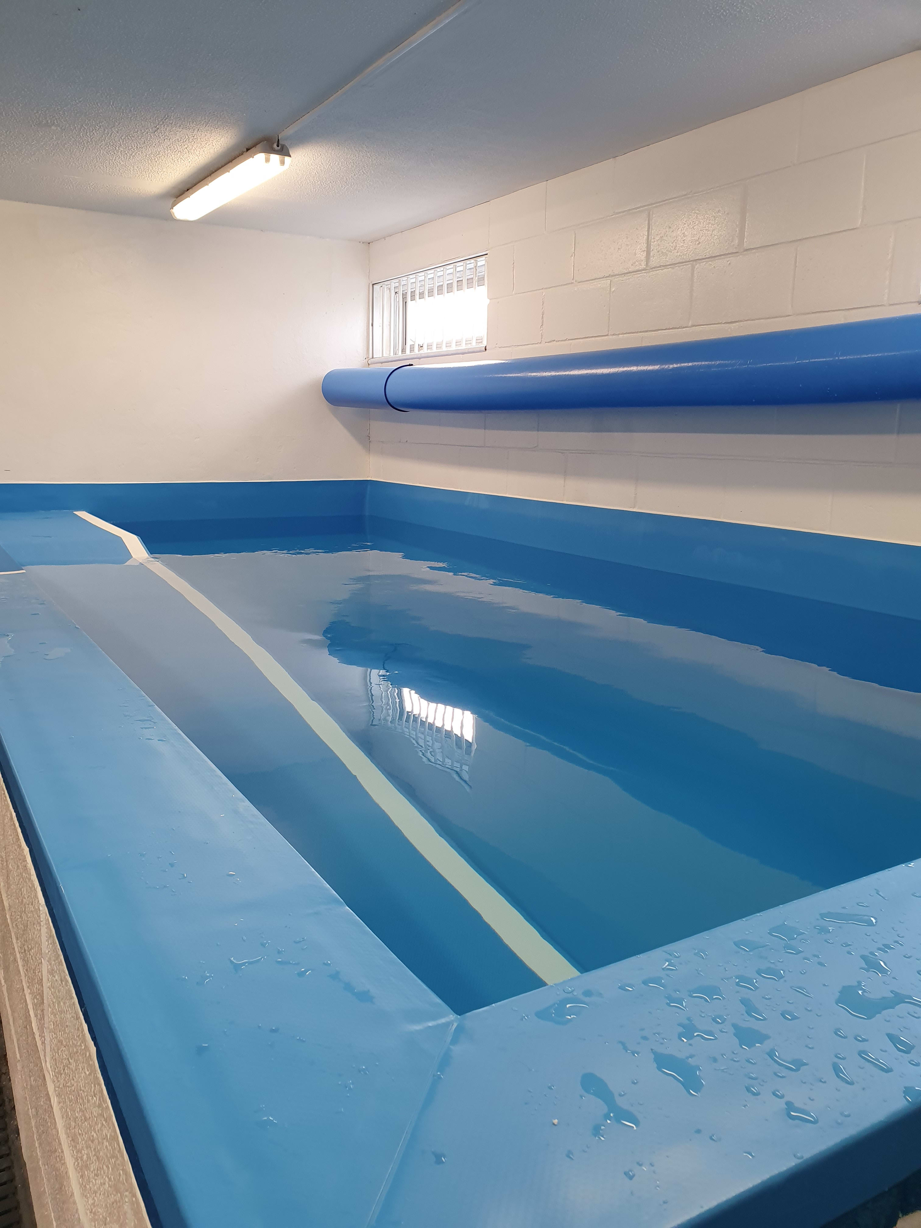 Canine Hydrotherapy - Hydrotherapy Pool - K9 Hydrofit - Physiotherapist ...