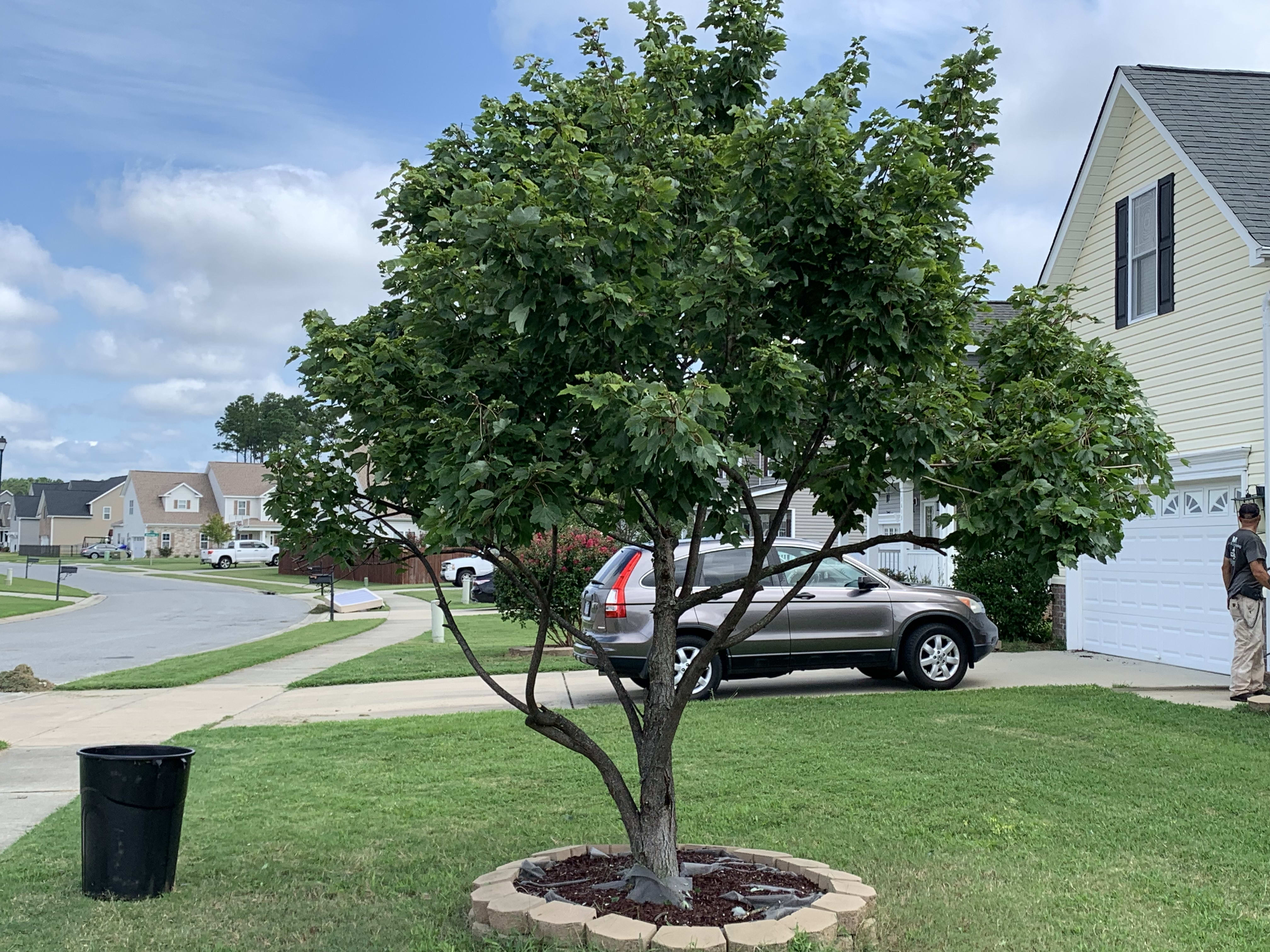 Stormin’ Norman Lawn & Landscaping | Landscape Services in Greenville