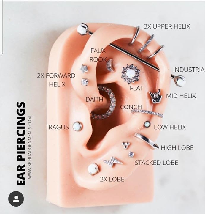 Cartilage piercing price store