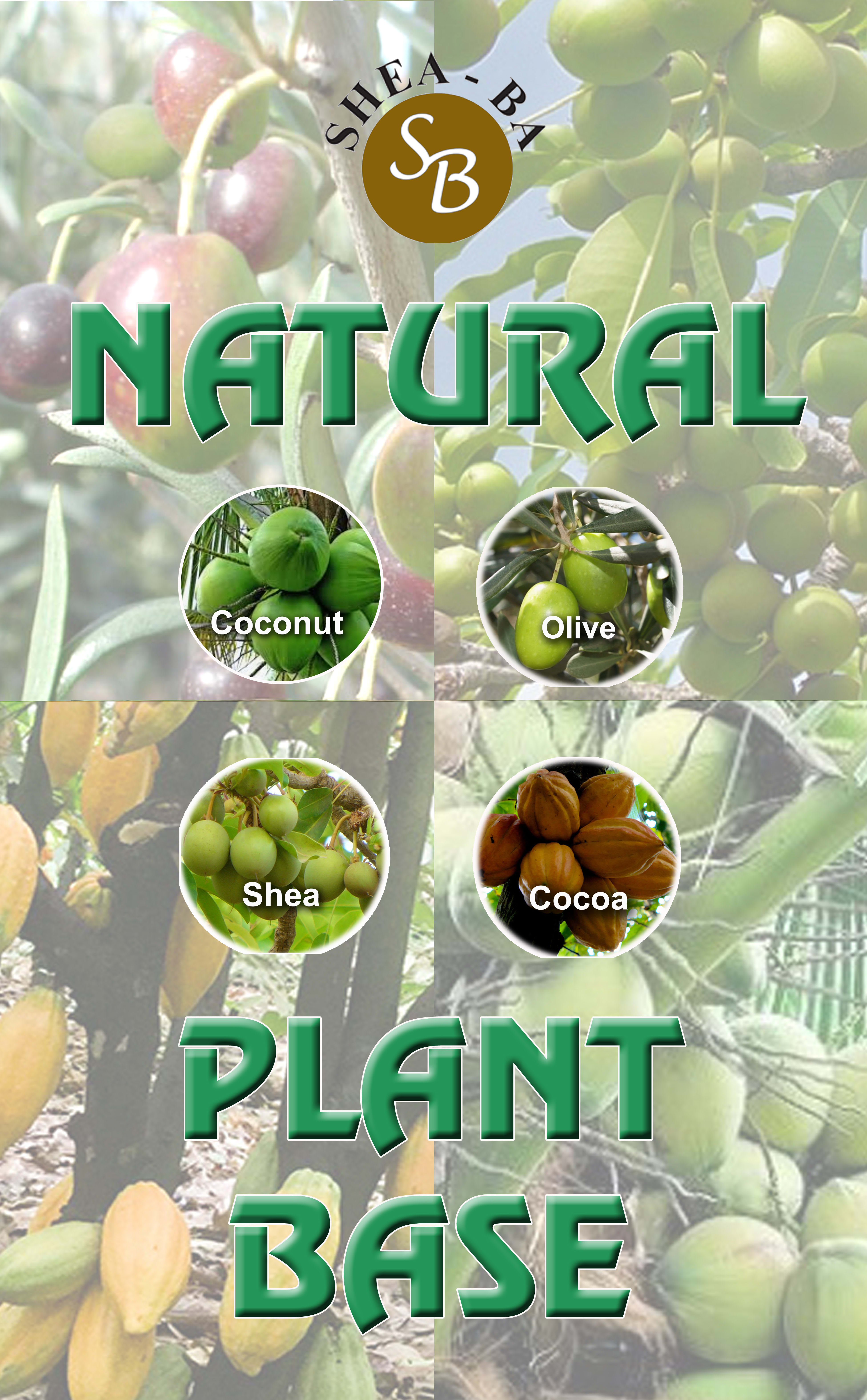 Inside Our Products - Shea-Ba Cosmetics | Beauty Supply Store