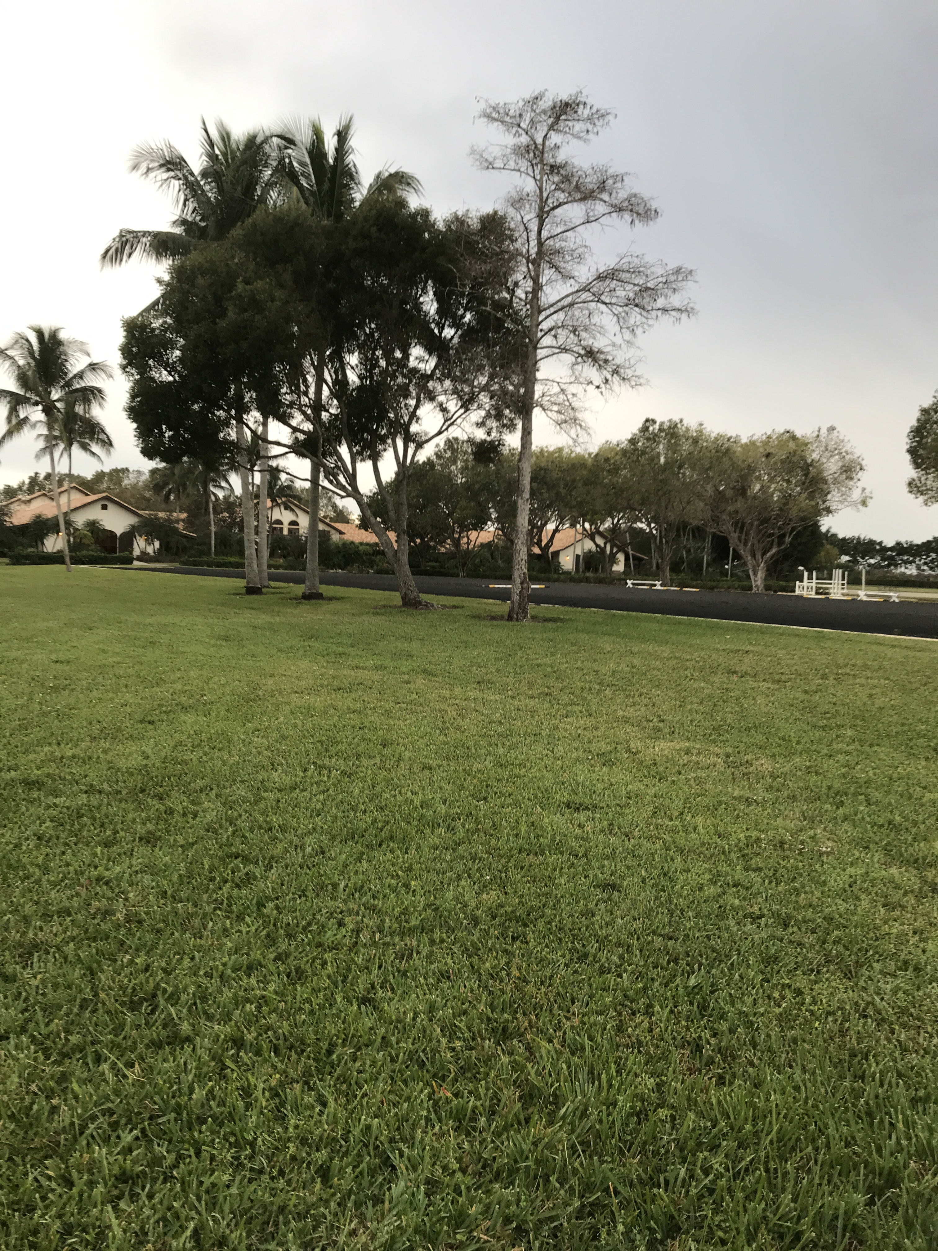 L&E Landscaping Inc - Landscaper | West Palm Beach