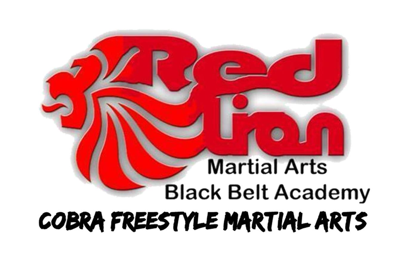 Red Lion Sma | Martial Arts Lessons in Swindon