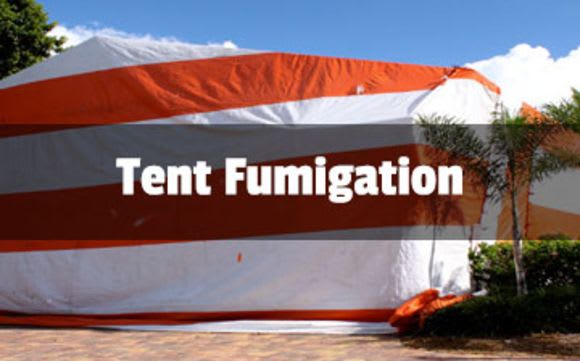 Tent Fumigation Orange County - Our Services - Free Termite Inspections ...