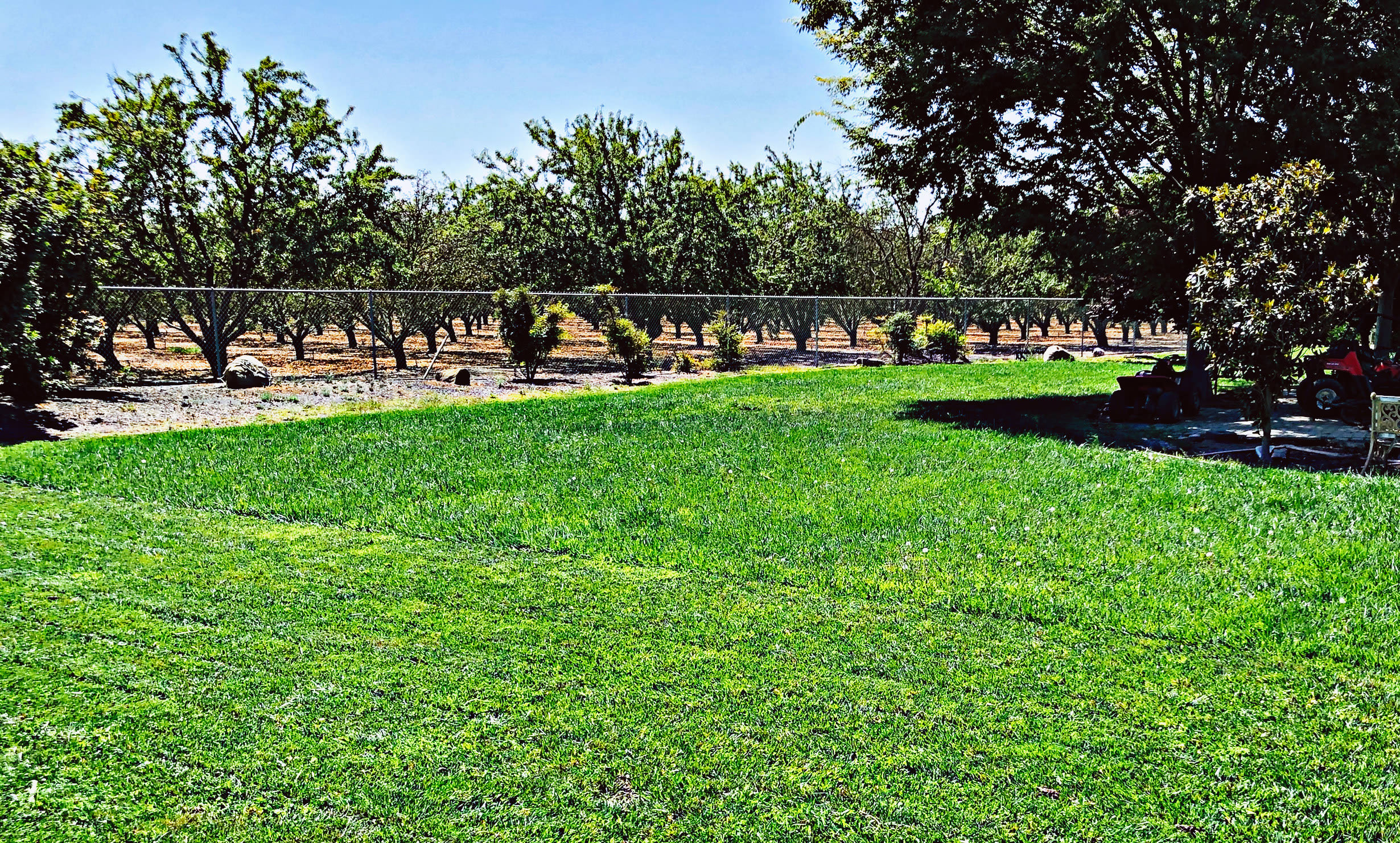 Mow-Town Lawn Care & Clean-Out Services | Gardener