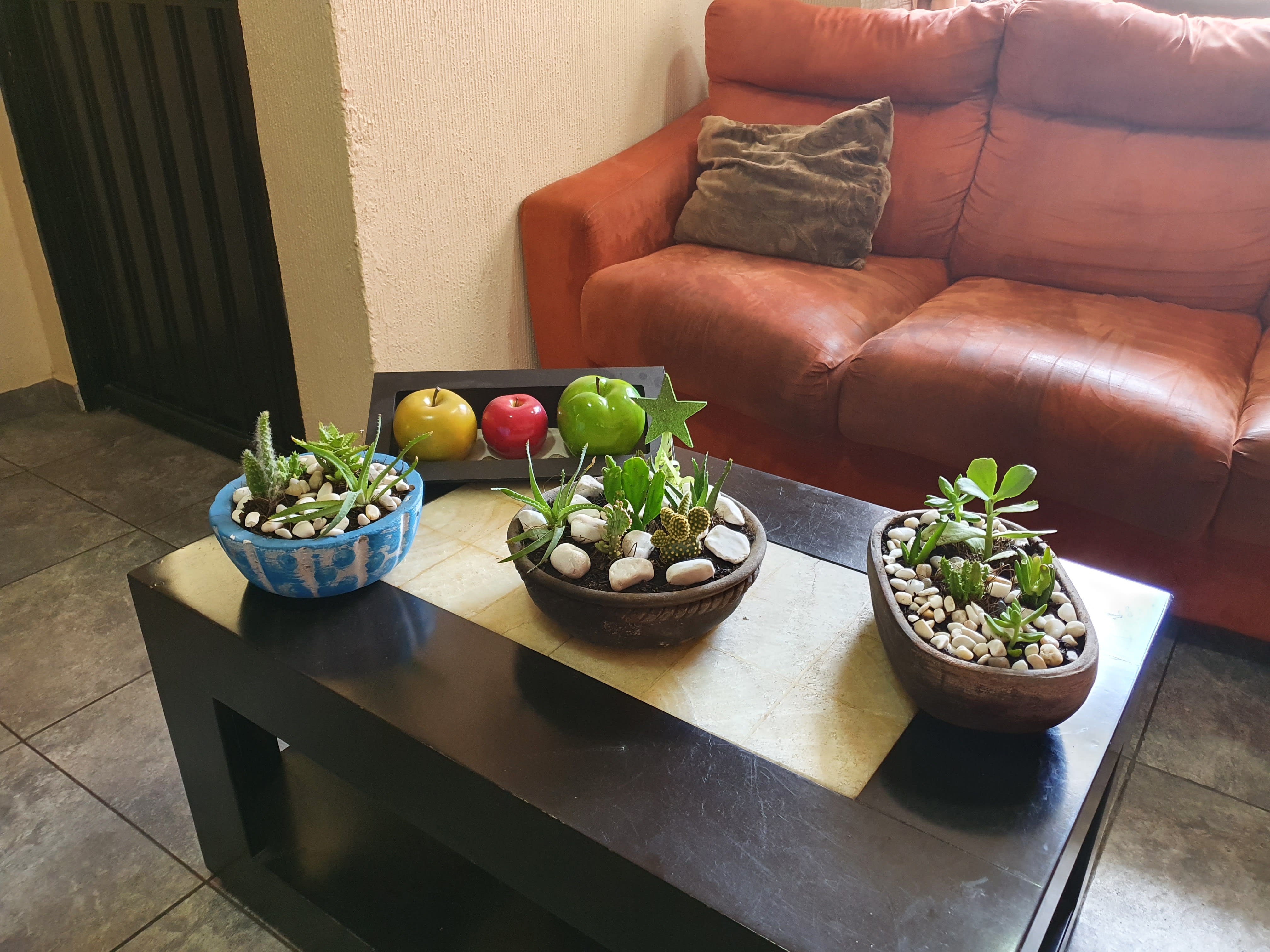 Vivero San Miguel - Vivero | Toluca