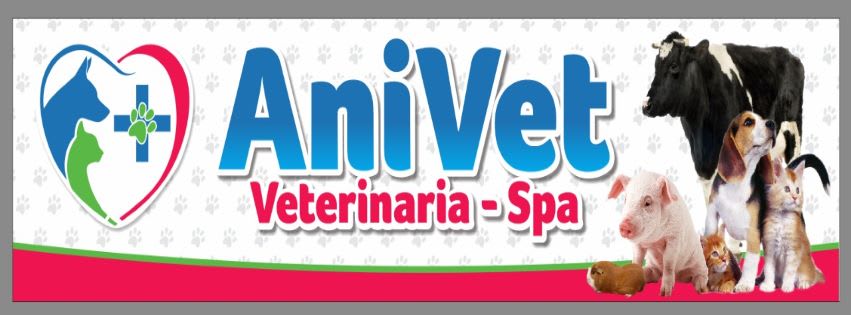 Anivet | Veterinaria y spa en Pucará