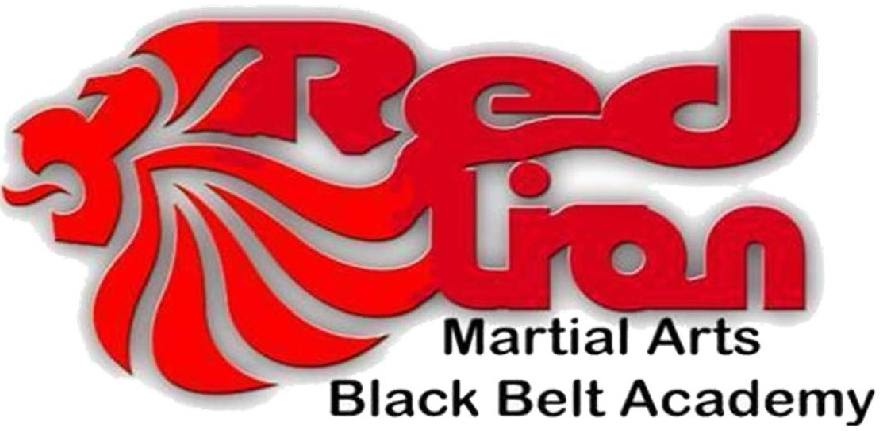 Red Lion Sma | Martial Arts Lessons in Swindon