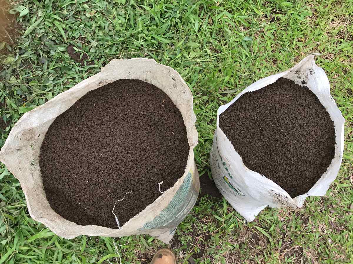 Gallinaza - Tierra,cesped,piedra y abonos - Viveros de Colombia ...