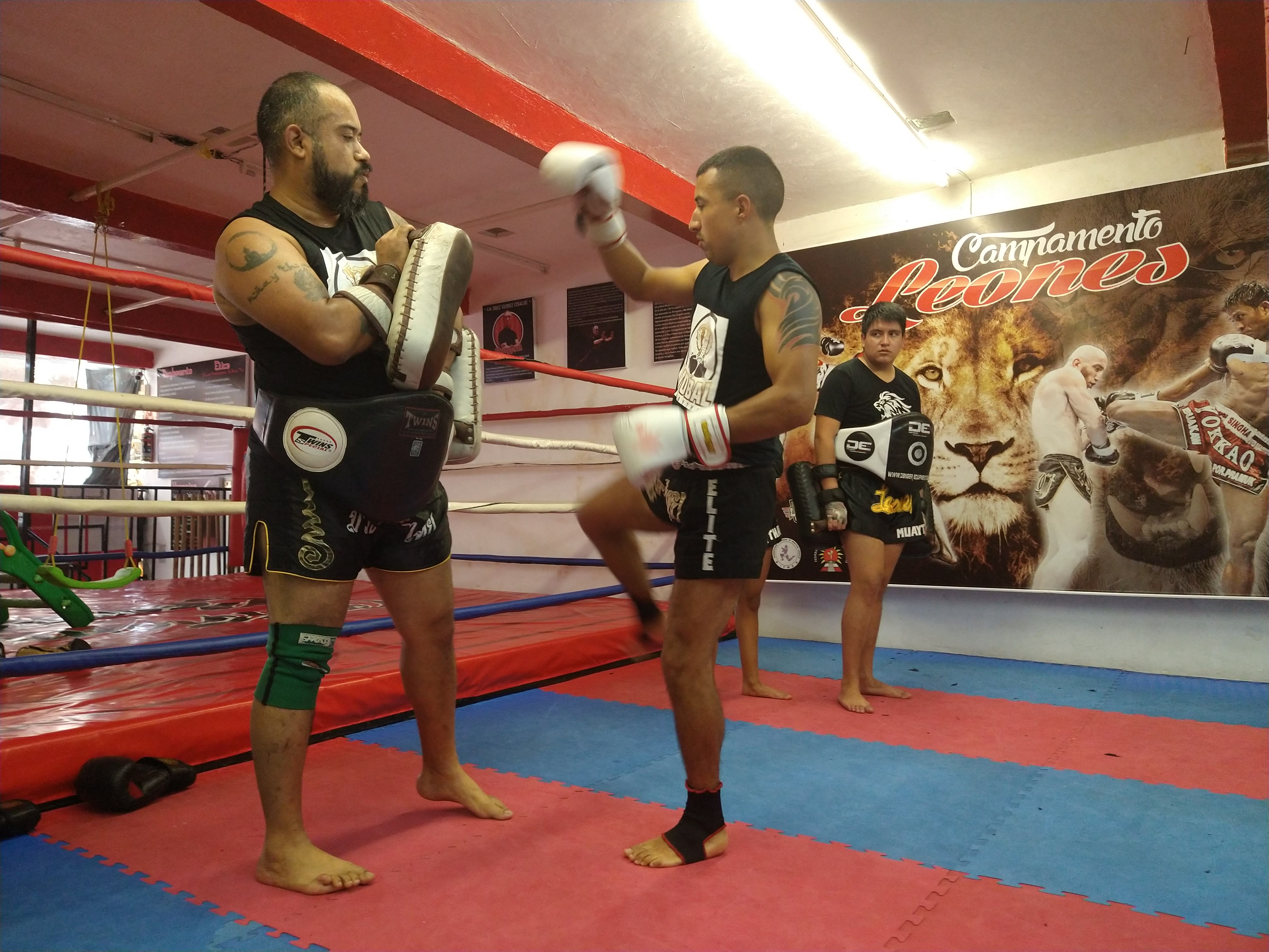 Adultos - Clases de artes marciales - Yobal Kai Muay Thai - Artes ...