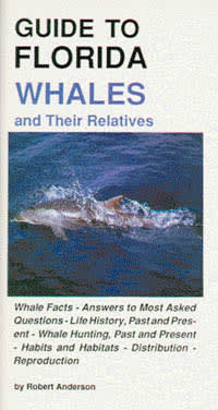 Winners Guide To Florida Whales and Their Relatives by Robert Anderson