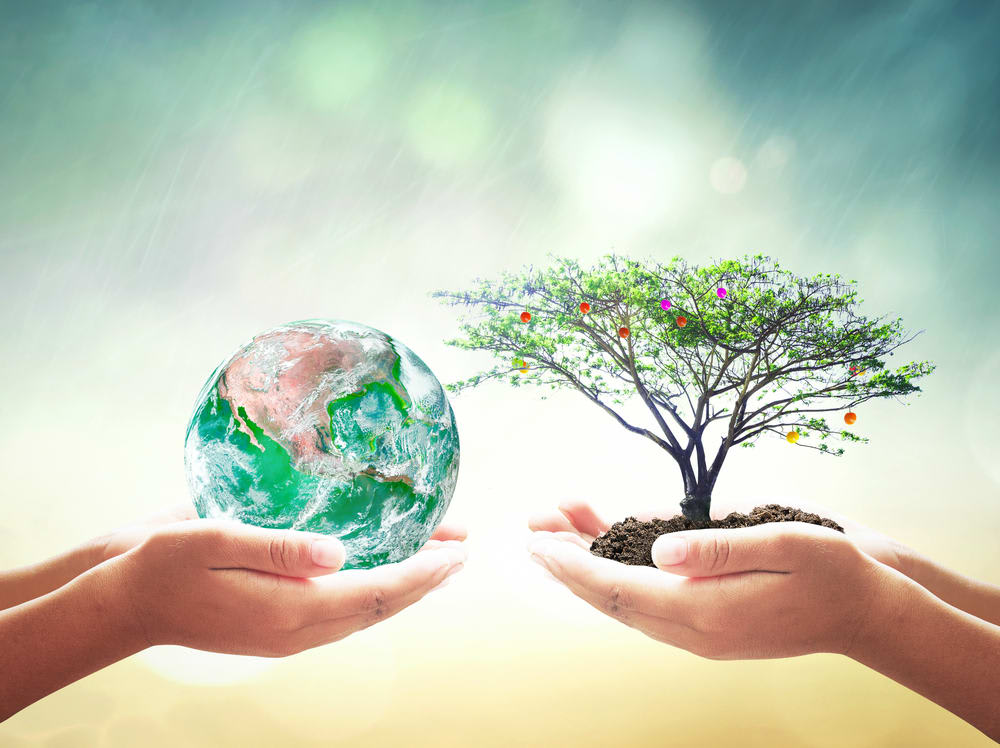 CS Soluções Ambientais - Consultoria Ambiental | Carlópolis