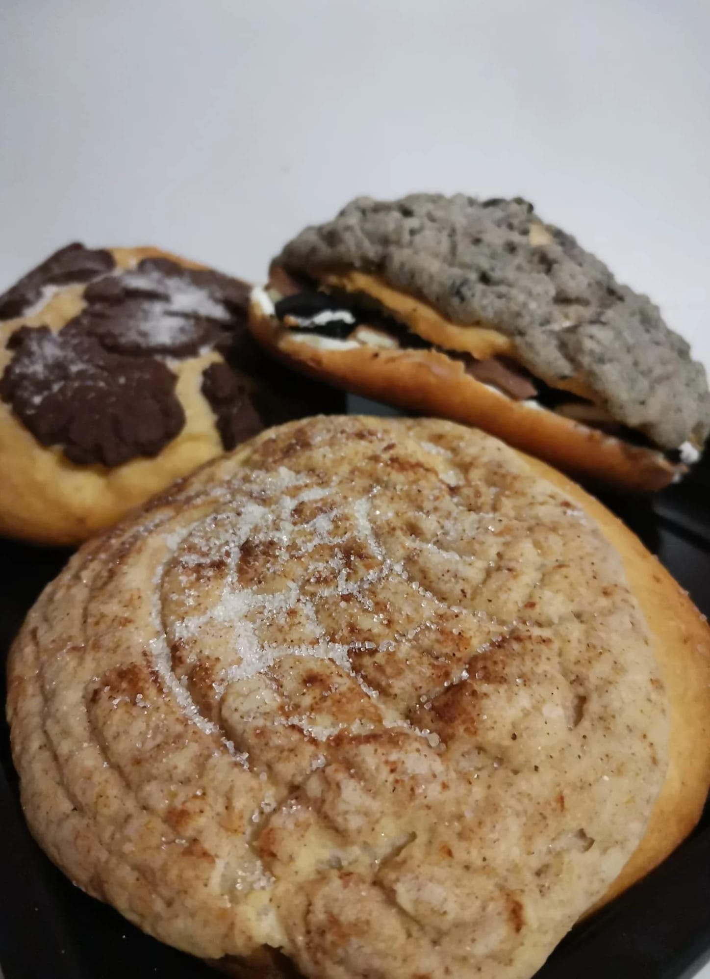 Concha Tradicional - Pan Dulce - Violeta | Panadería y pastelería en ...