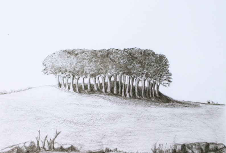 The Coming Home Trees Greeting Card - Greeting Cards - In Joy - Cornish ...