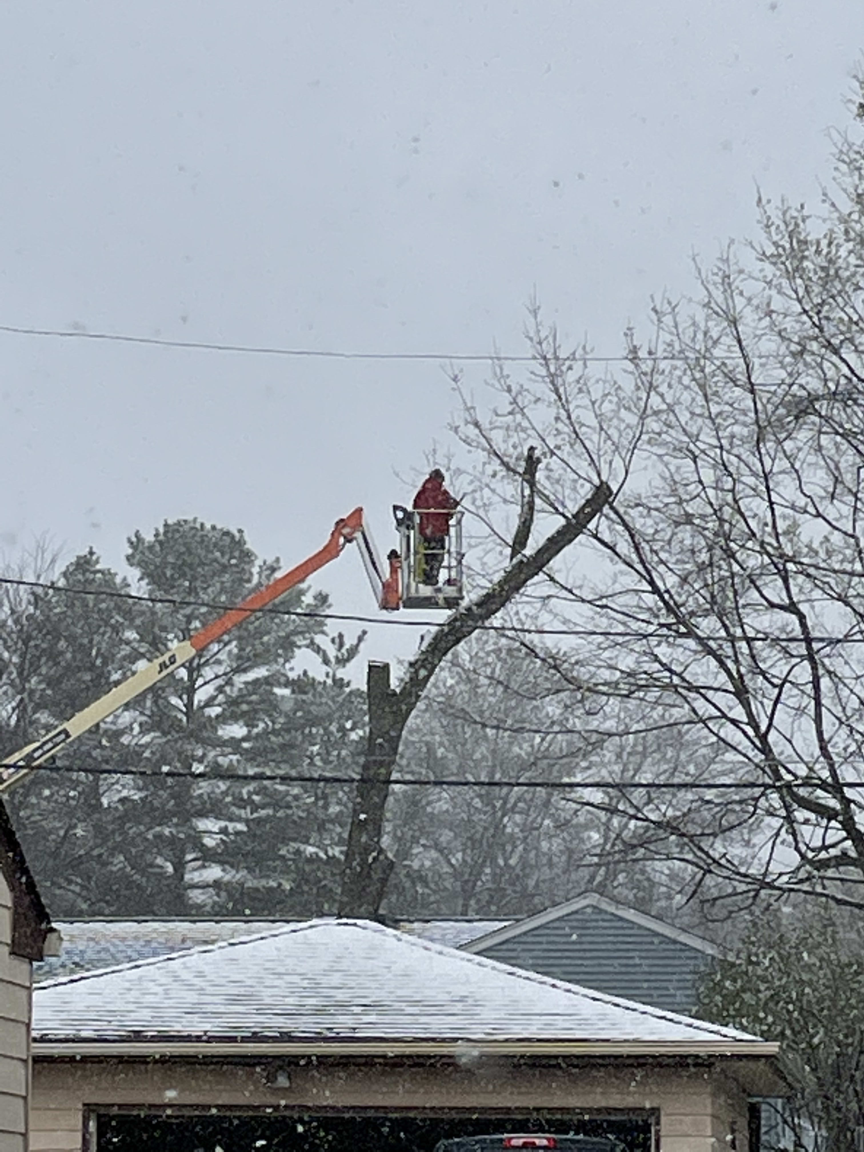 Tree Removal - Tree Services - Karoses Tree Services | Racine