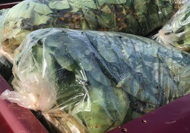 Cooked, Talo, Kape, Manioke - Polyneasian Foods - King Taro Farms ...