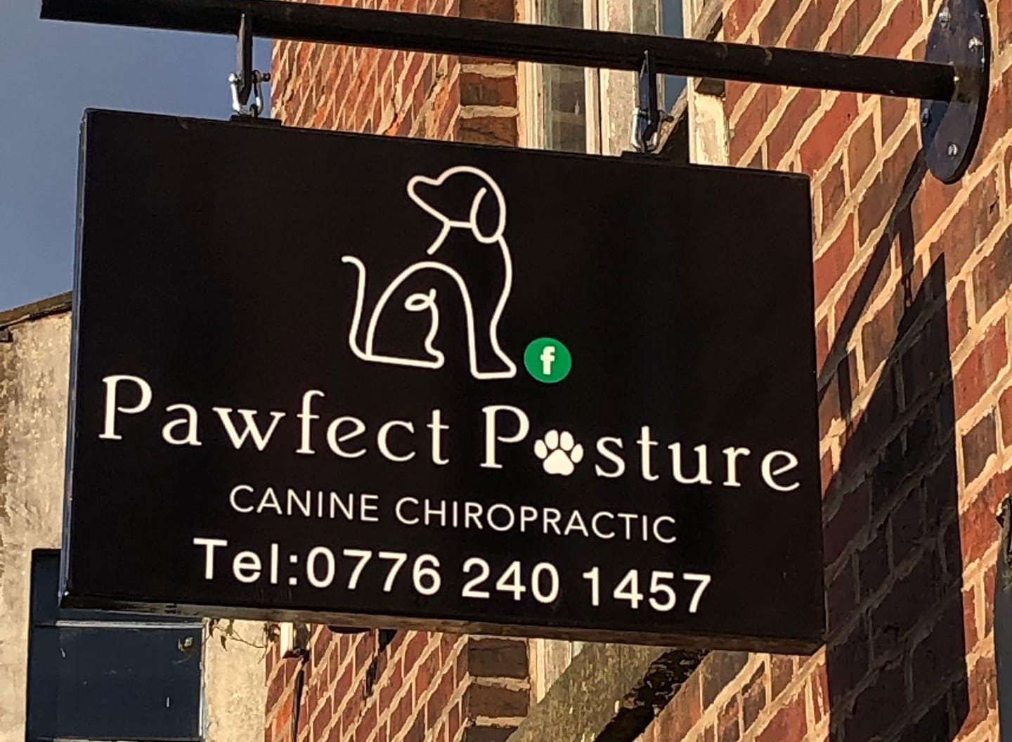 Pawfect Posture | Canine Chiropractor in Manchester