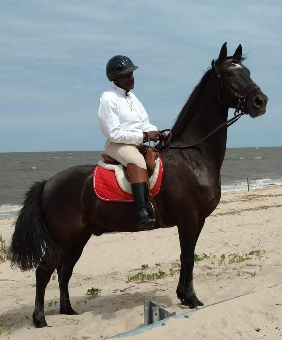 D & S Equestrian Training - Horse Riding | Dover