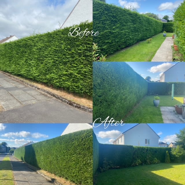 Hedge Trimming/Reducing - Our Services - Ground Maintenance ...
