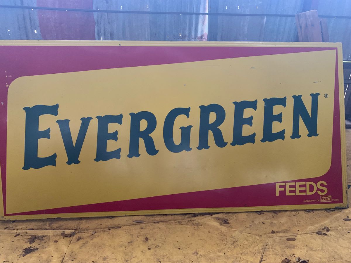 Evergreen Feed Sign - Kool Stuff - Cowboy Corner | Vintage Western ...