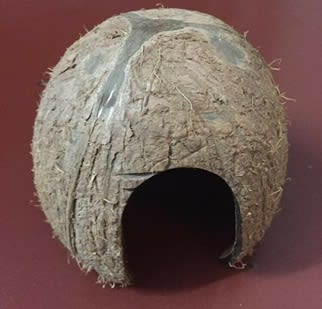GAPS Coconut Hides - Reptile Hide/Shrimp Cave/Betta Cave - Animals ...