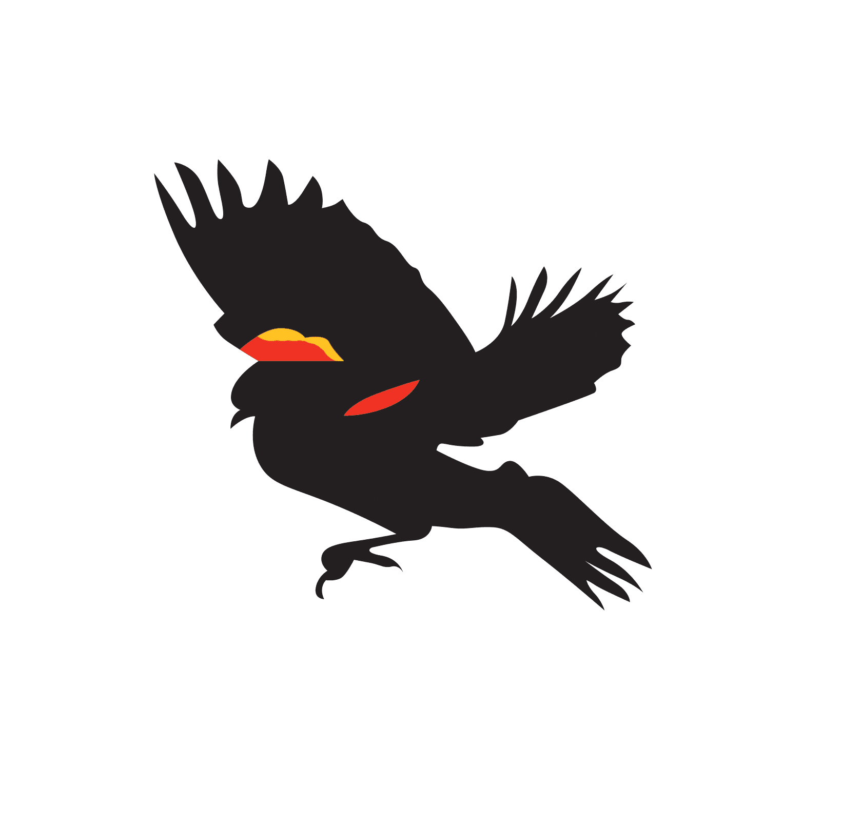 BlackBird Fitness | Massillon Fit, Self Defense & Martial Arts School