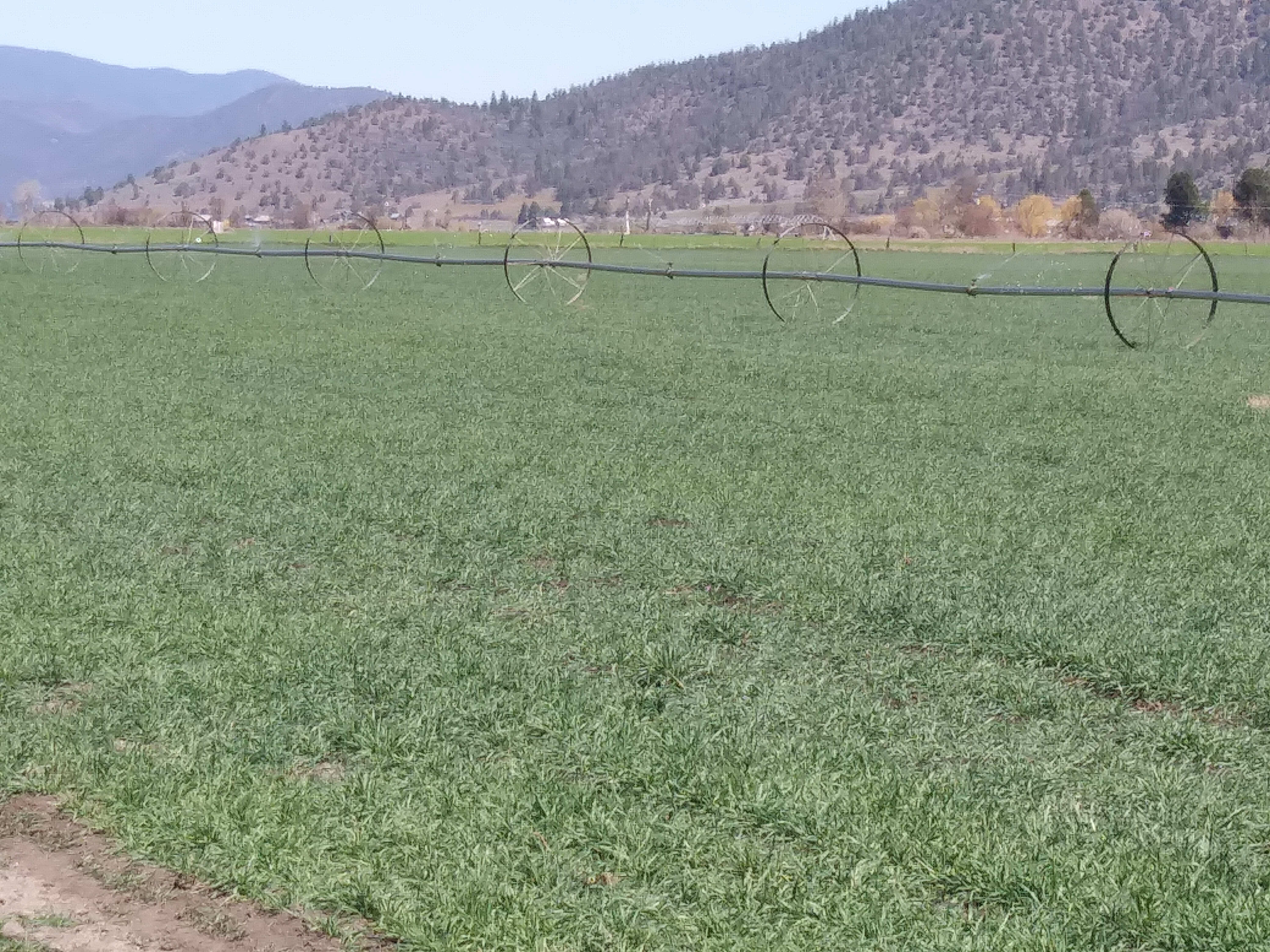 Wheel lines and irrigation parts - Equipment - Thunderfoot Presses ...