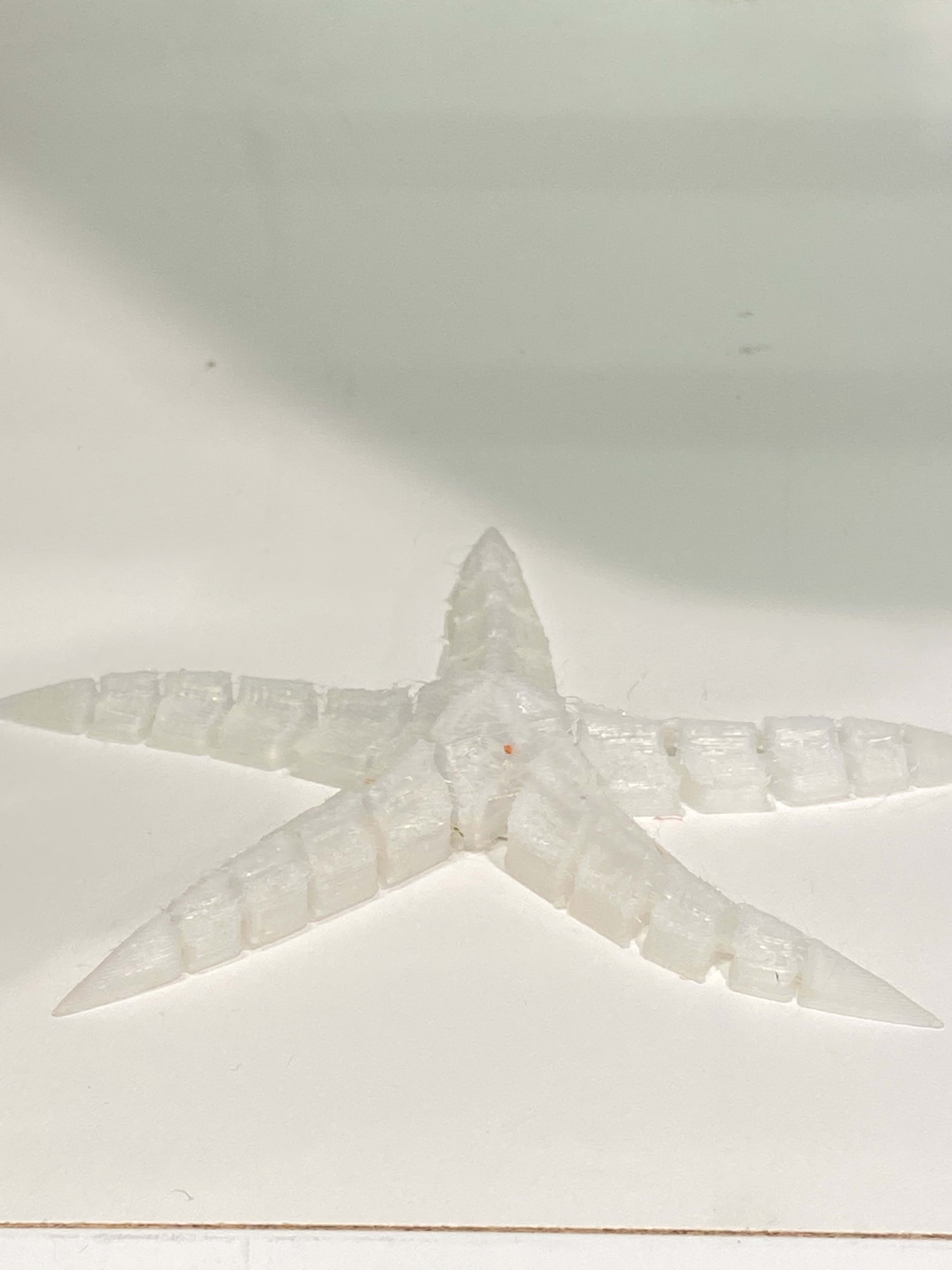 FLEXI-STAR FISH - FLEXI TOYS & CREATURES - Jaws 3D Print and Design LLC ...