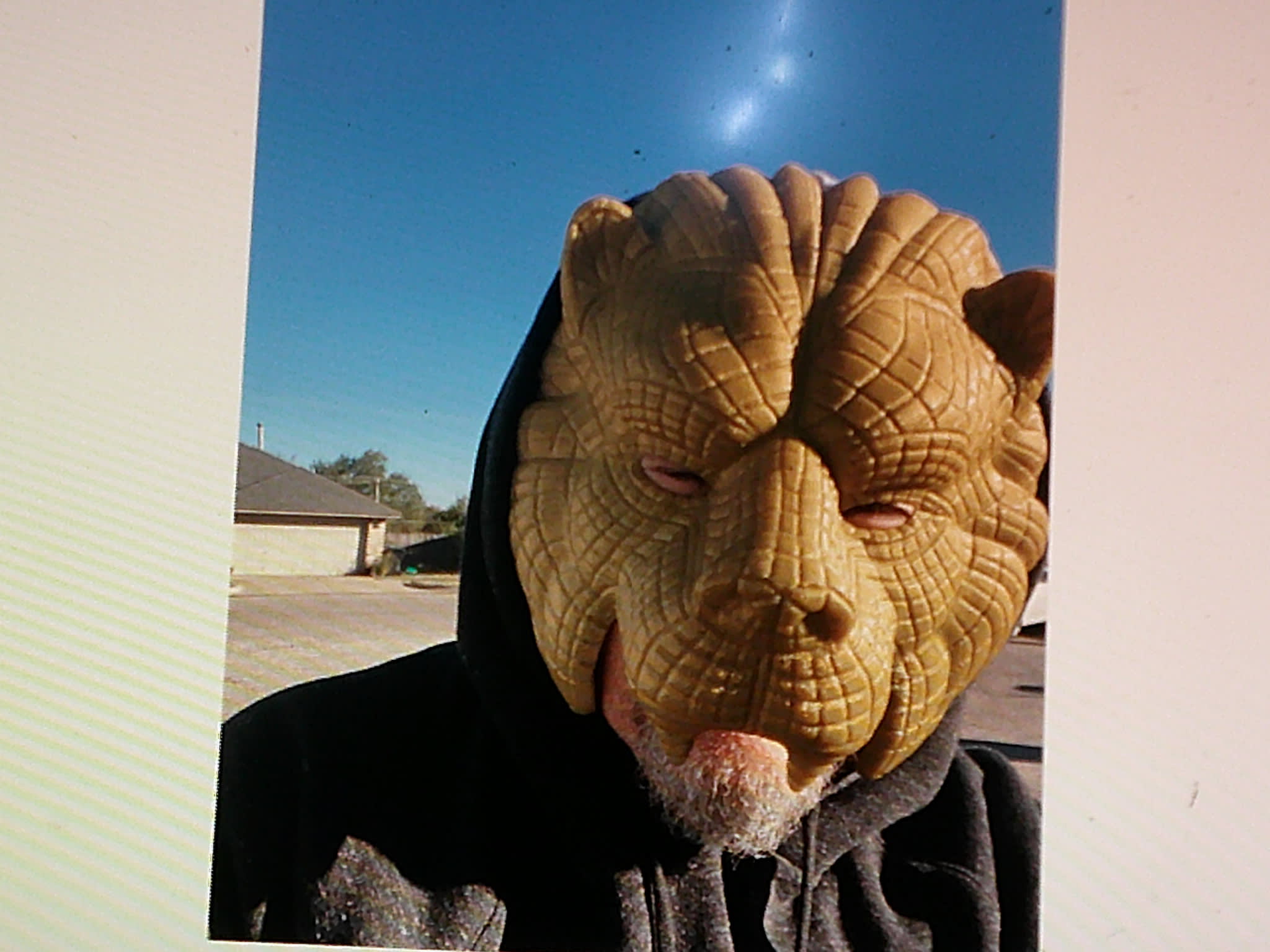 SQUID GAME VIP TIGER MASK - SQUID GAME MASKS - Jaws 3D Print and Design ...