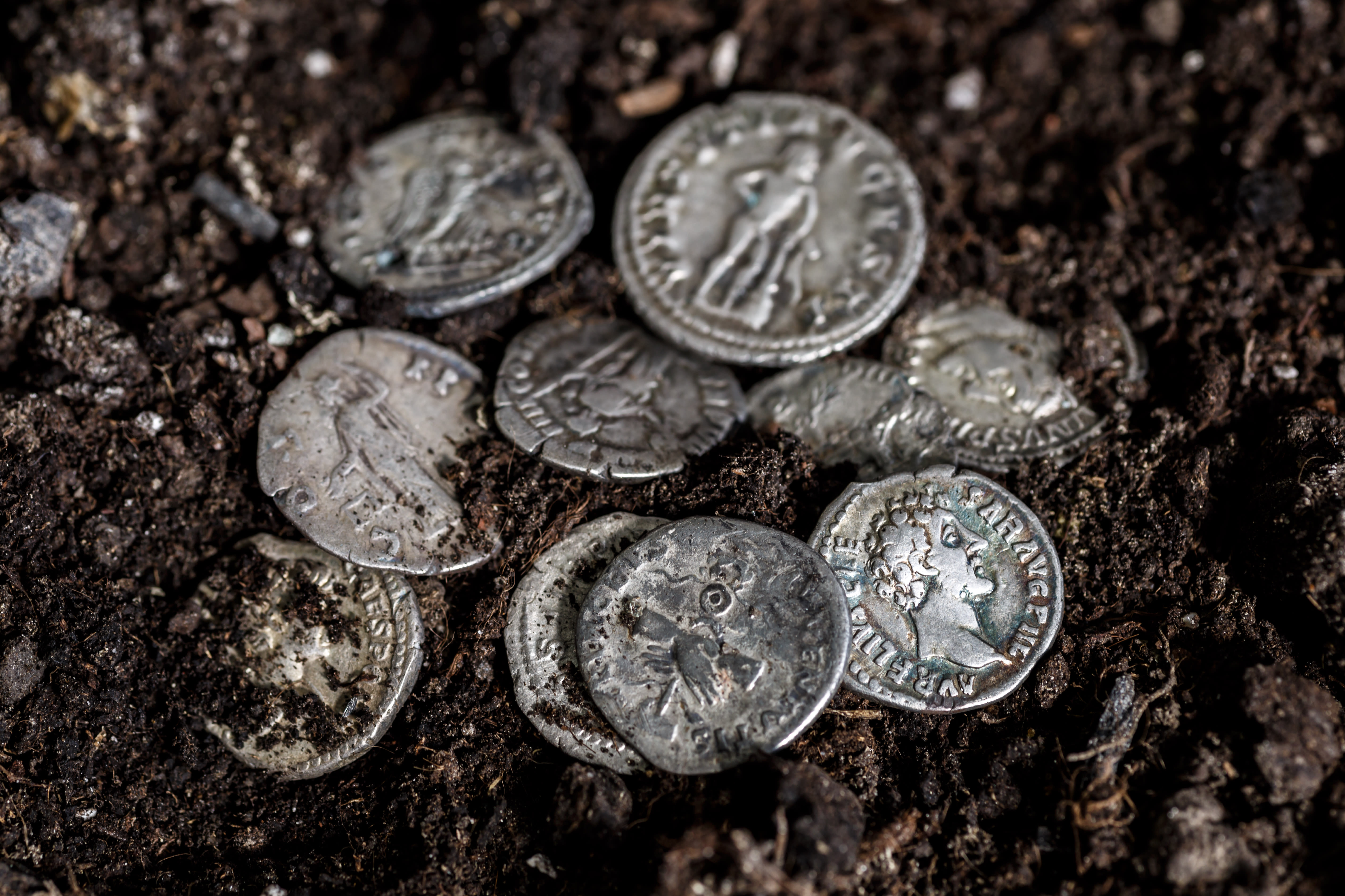 Palmyra Heritage Gallery | Authentic Ancient Coins & Antiquities in New ...