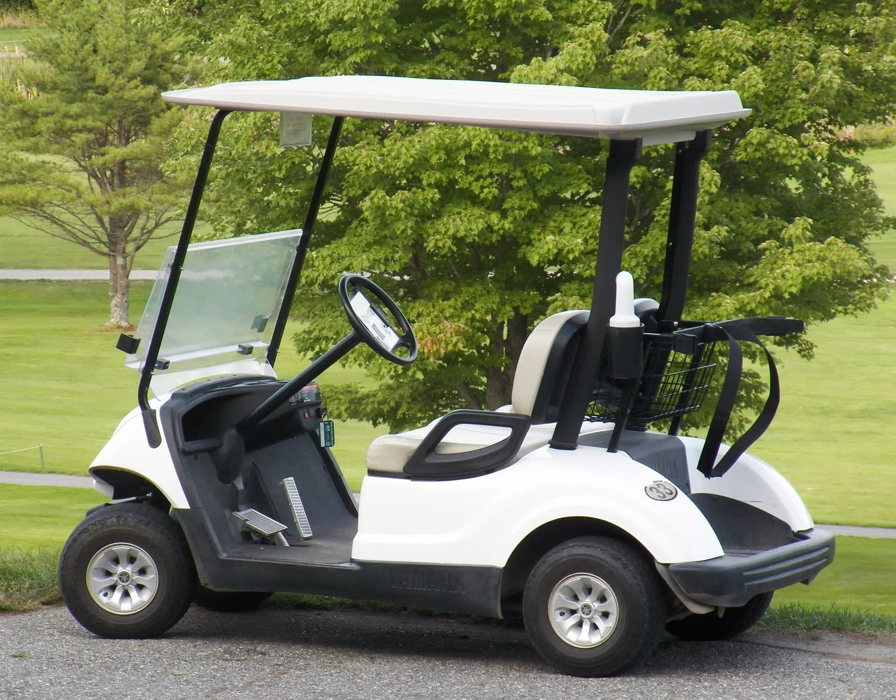 Golf Carts for Any Event - Yes Golf Carts | Golf Cart Rental & More in ...