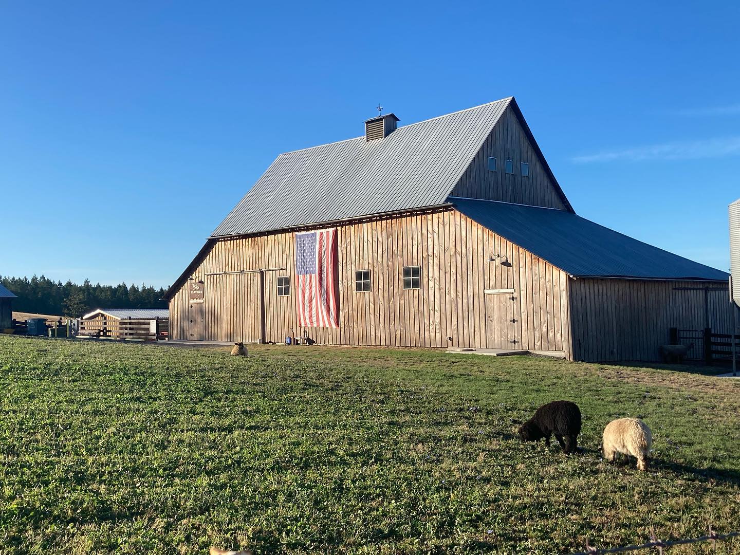 Amaro Farm | Farm Products & Farming Activities | Friday Harbor