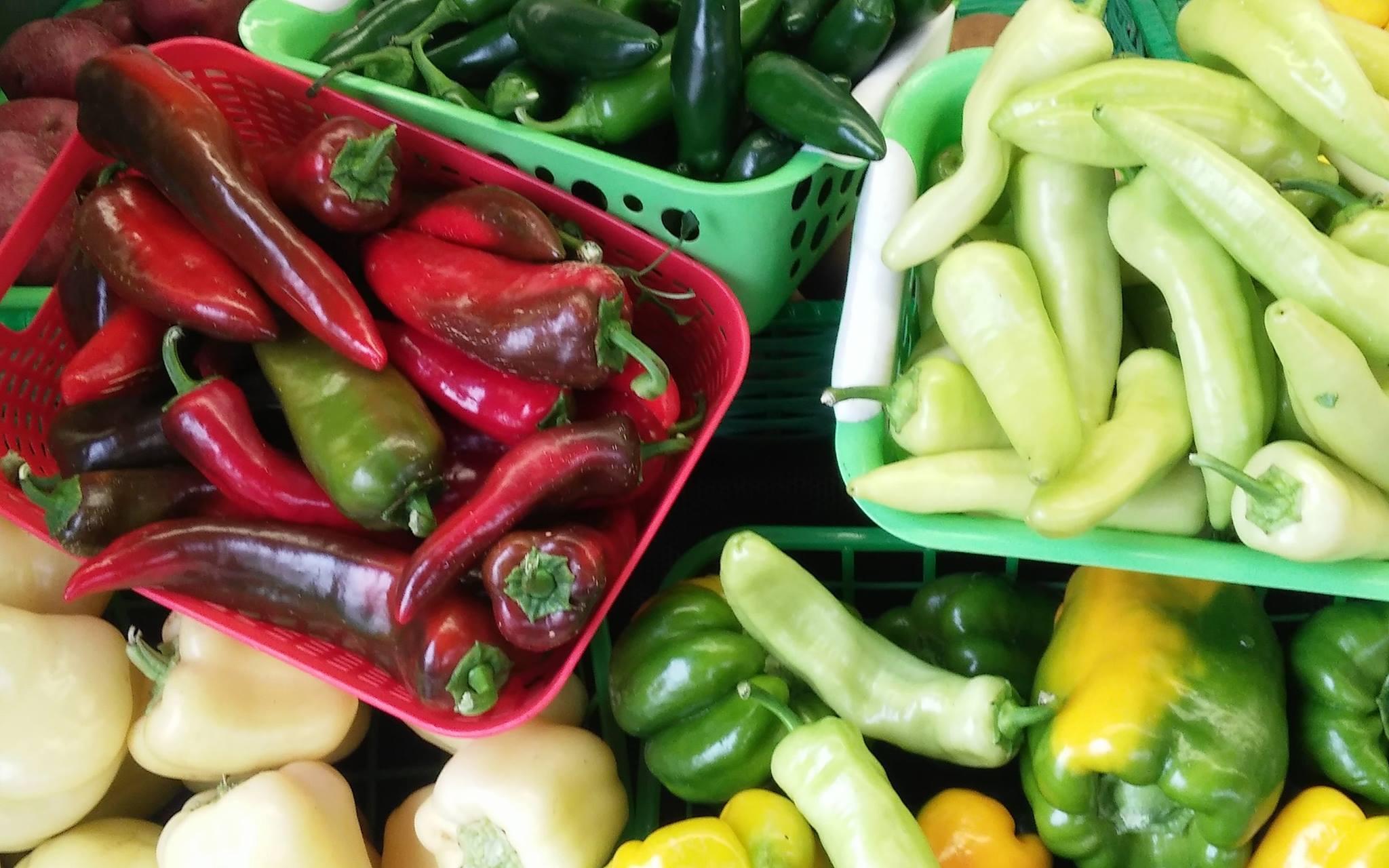 Farm Fresh Produce - Come Visit Us - Velvet Acres Gardens - Farmers ...