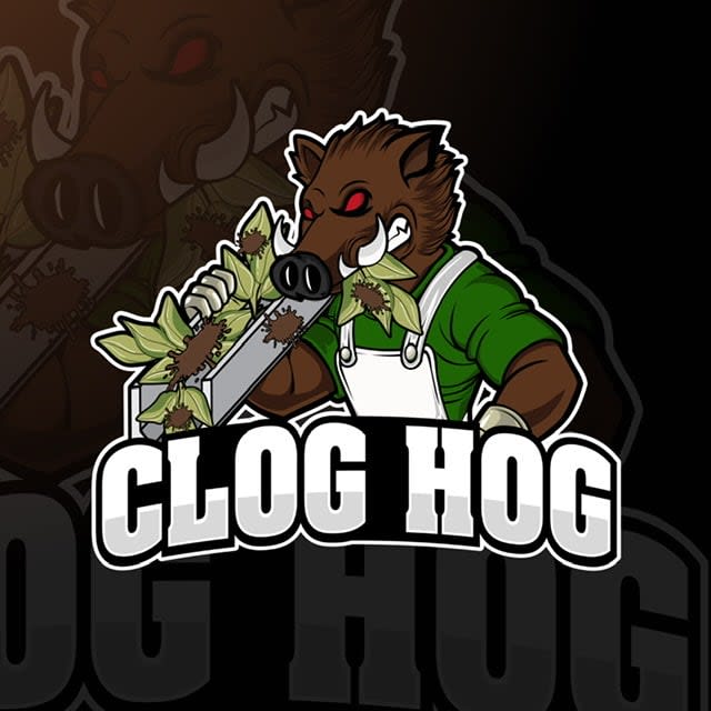 Clog Hog Gutter Services | Gutter Cleaning | Conway