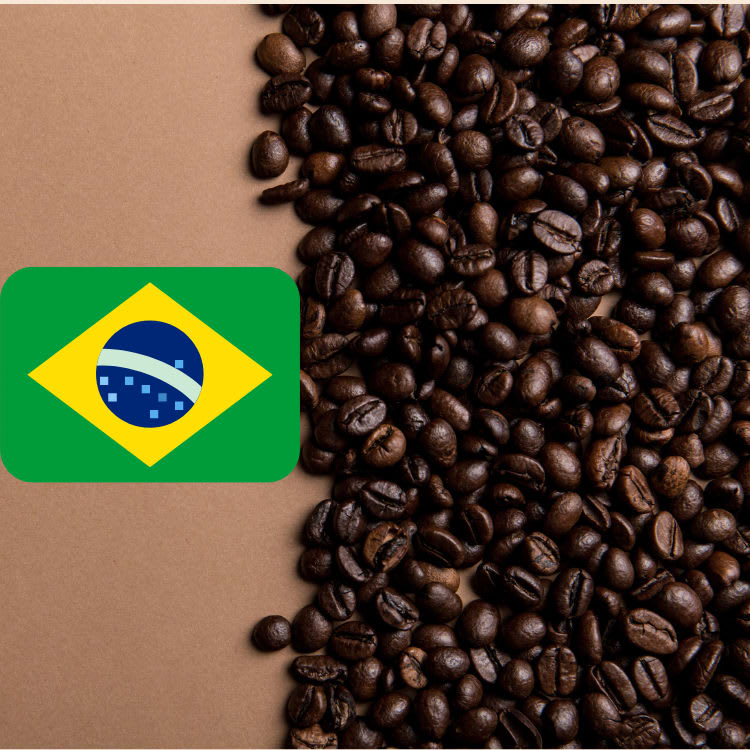Brazil Bold Roast - Bold roasts - Oracle Hills Roastery | Oracle Custom ...